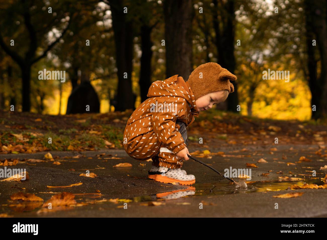 Boy holding stick while playing in puddle on road Stock Photo - Alamy