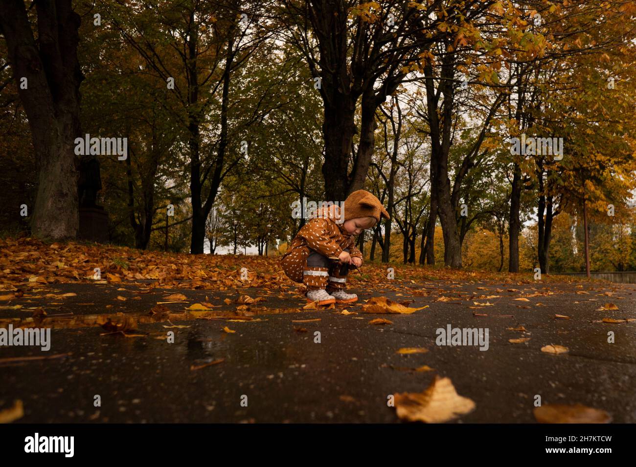 Autumn rain puddle on park hi-res stock photography and images - Alamy