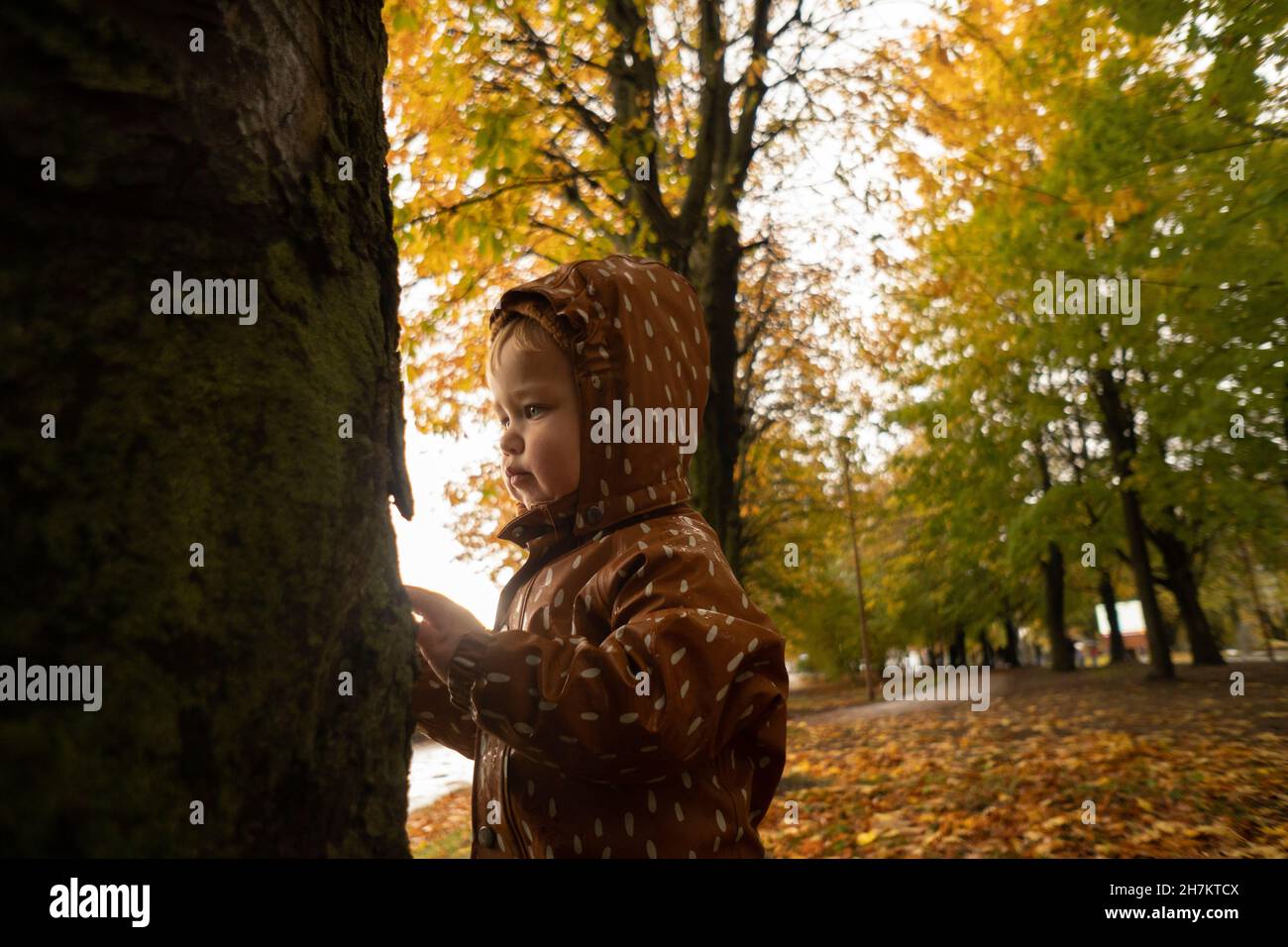 Children playing under tree in park hi-res stock photography and images ...