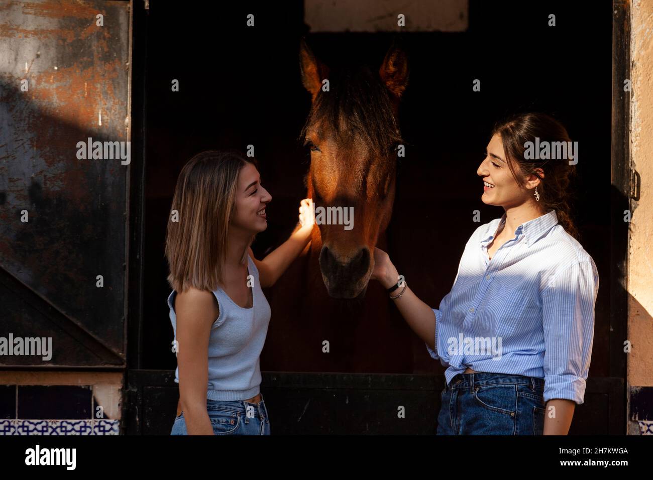 Two people talking by stable hi-res stock photography and images - Alamy