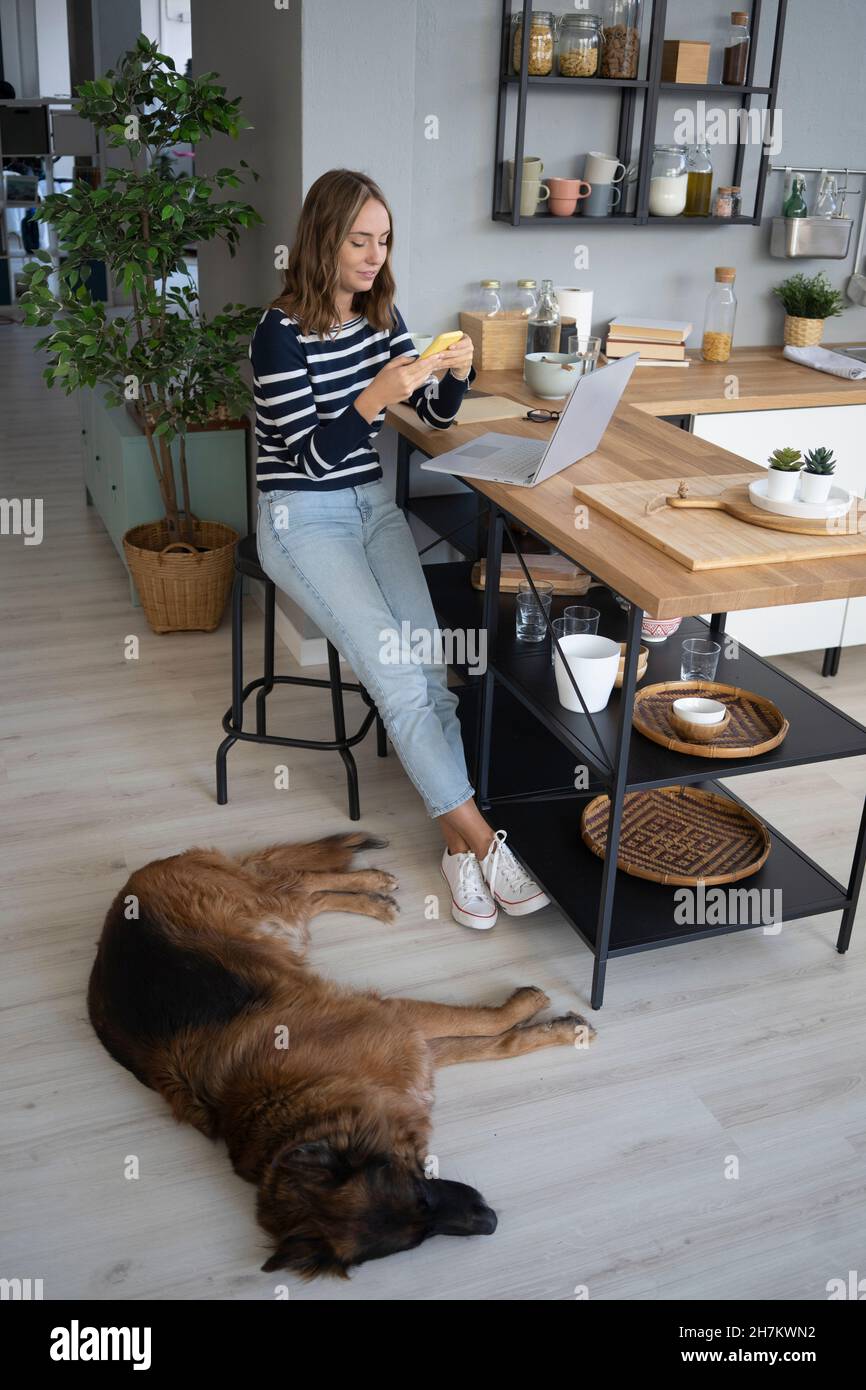 Contemplating dog hi-res stock photography and images - Alamy