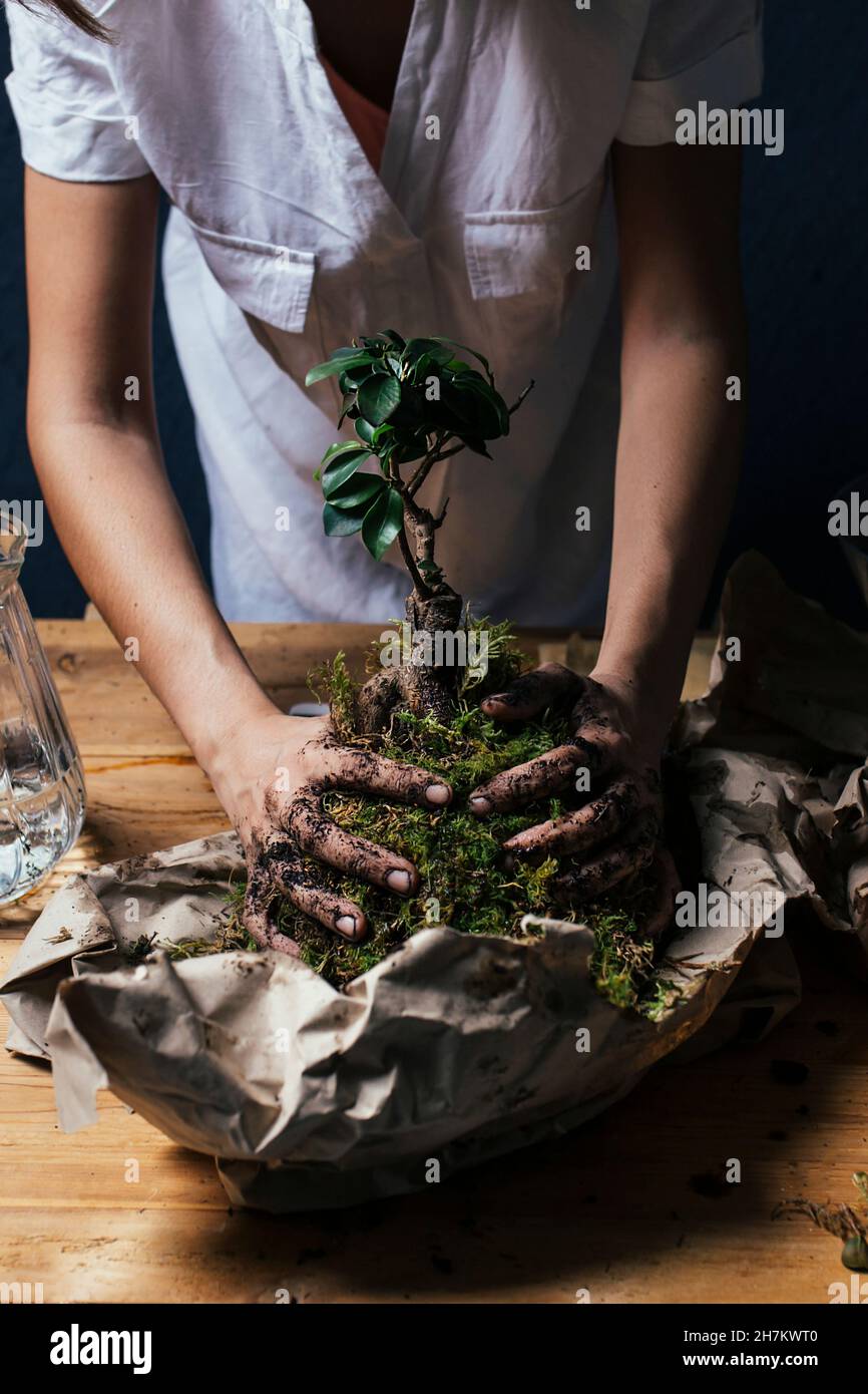 Young tree planting hi-res stock photography and images - Alamy