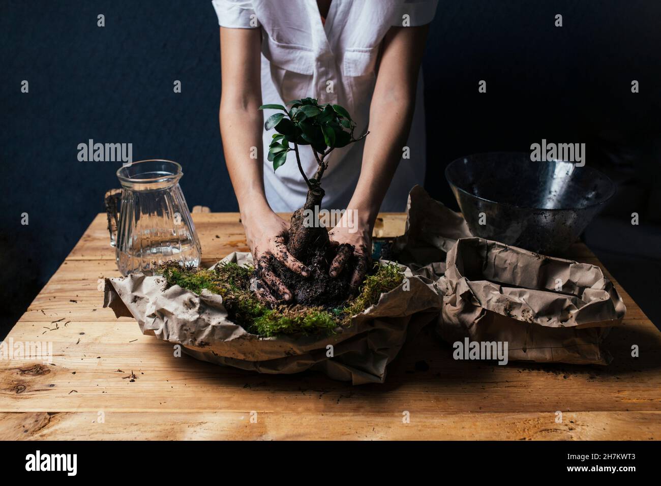 Young woman mixing moss in mud while planting on table Stock Photo - Alamy