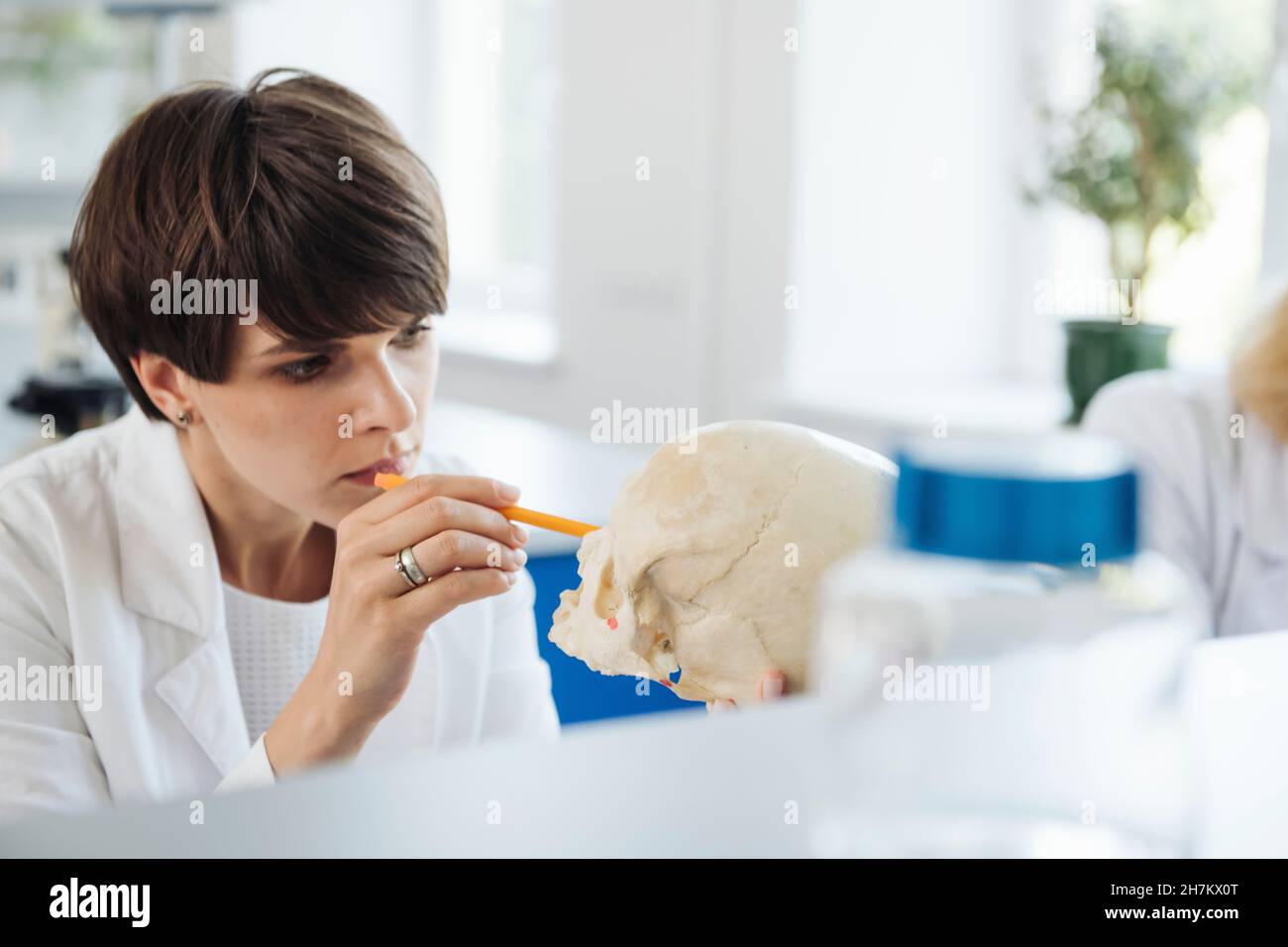 Scientist researching over human skull at workplace Stock Photo - Alamy
