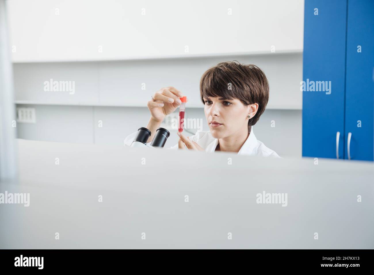Researcher checking medical sample in laboratory Stock Photo - Alamy