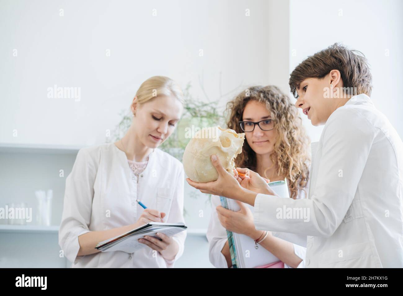 Researcher explaining over human skull to colleagues in laboratory ...