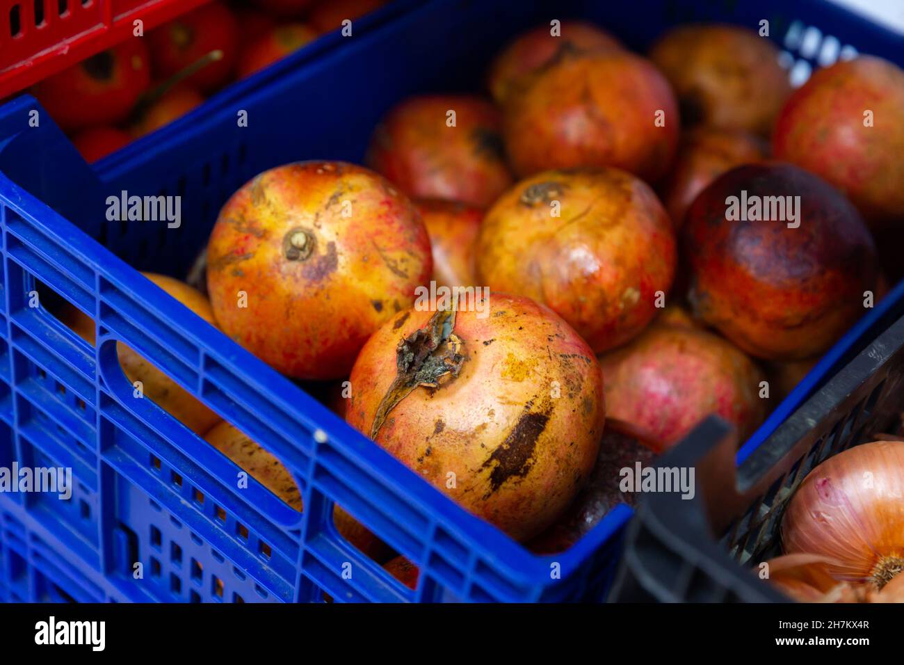 Fresh ripe pomegranates in box for sale Stock Photo - Alamy