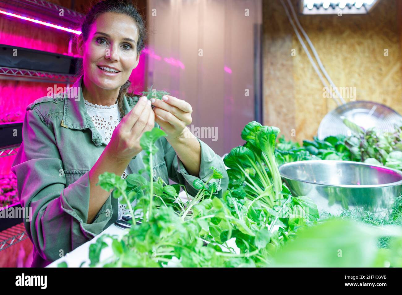 Female owner smelling vegetable in greenhouse Stock Photo - Alamy