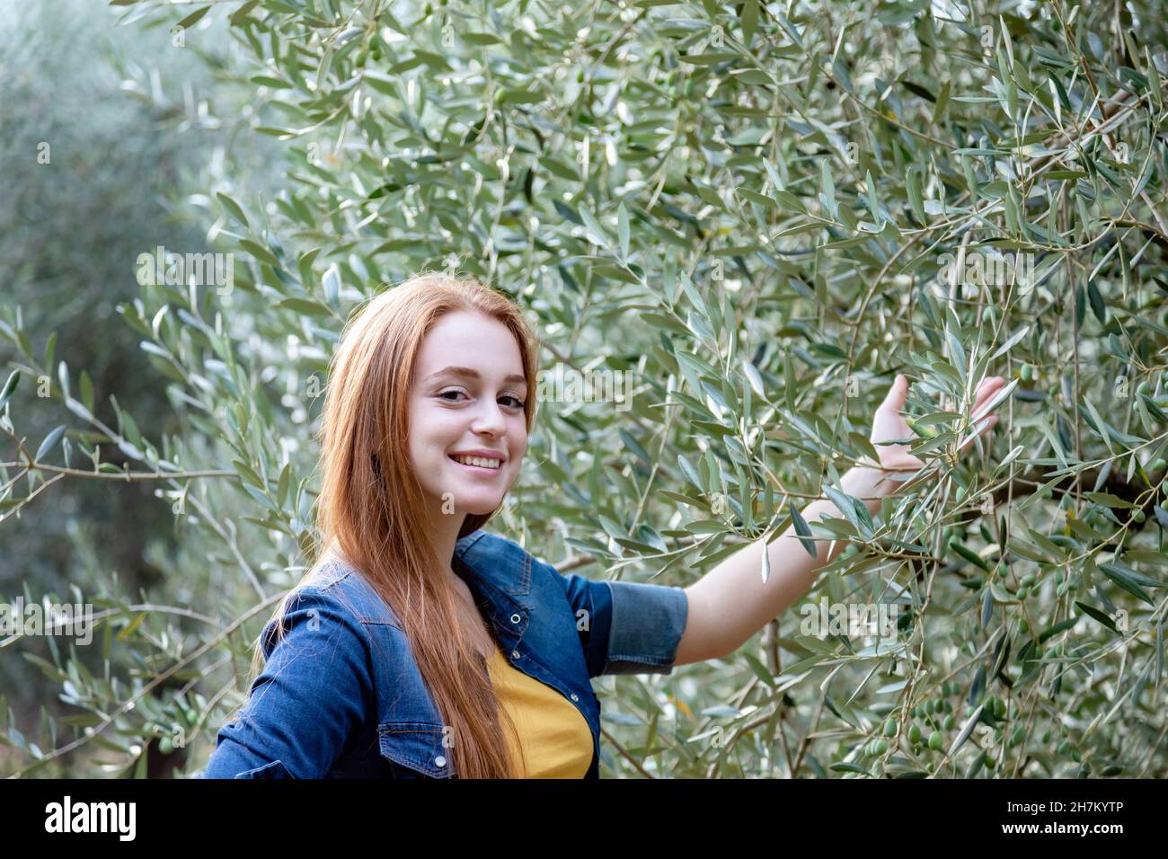 Smiling beautiful woman touching tree branch at countryside Stock Photo ...