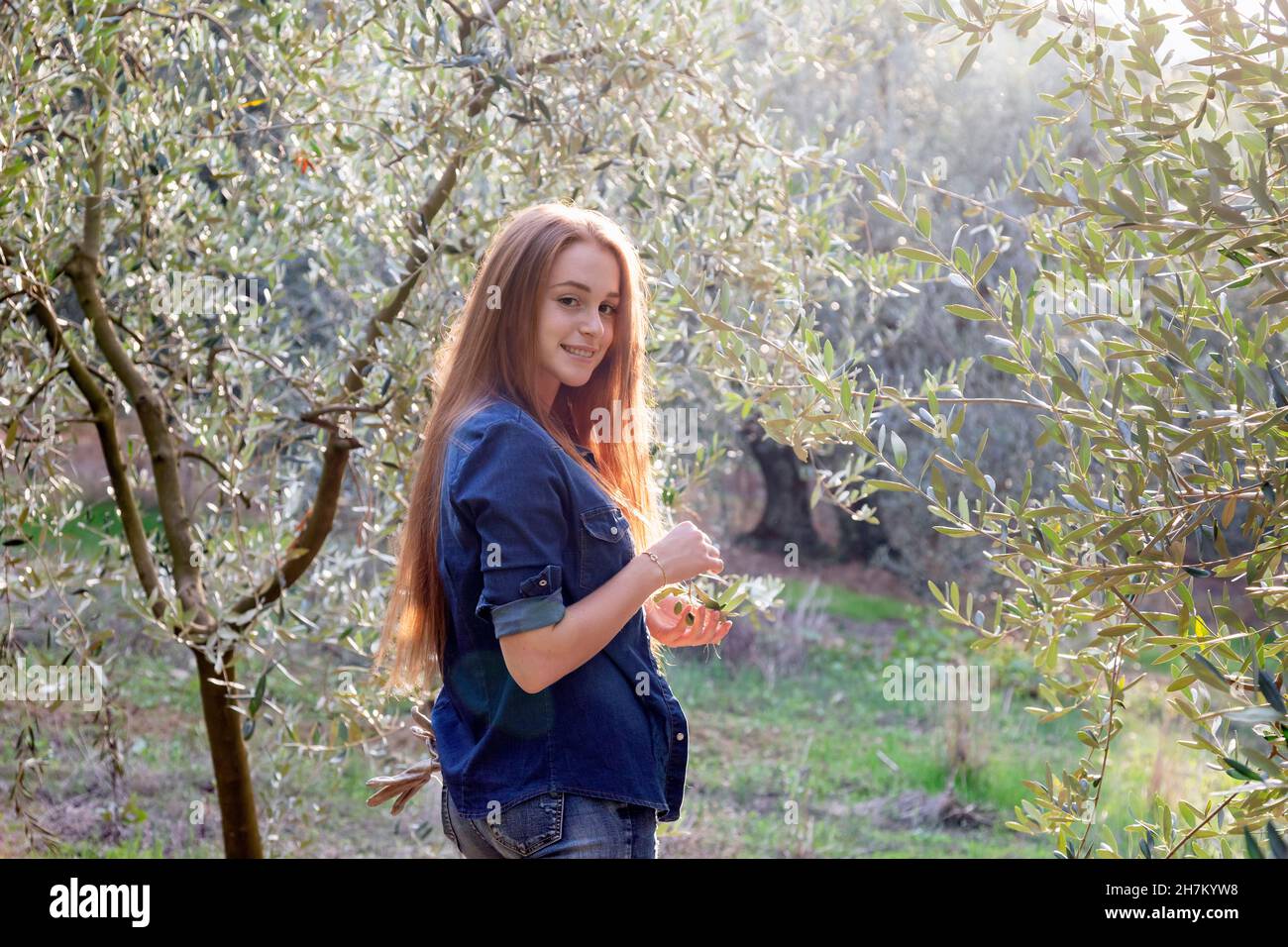 Smiling young woman with long hair amidst olive trees at countryside ...
