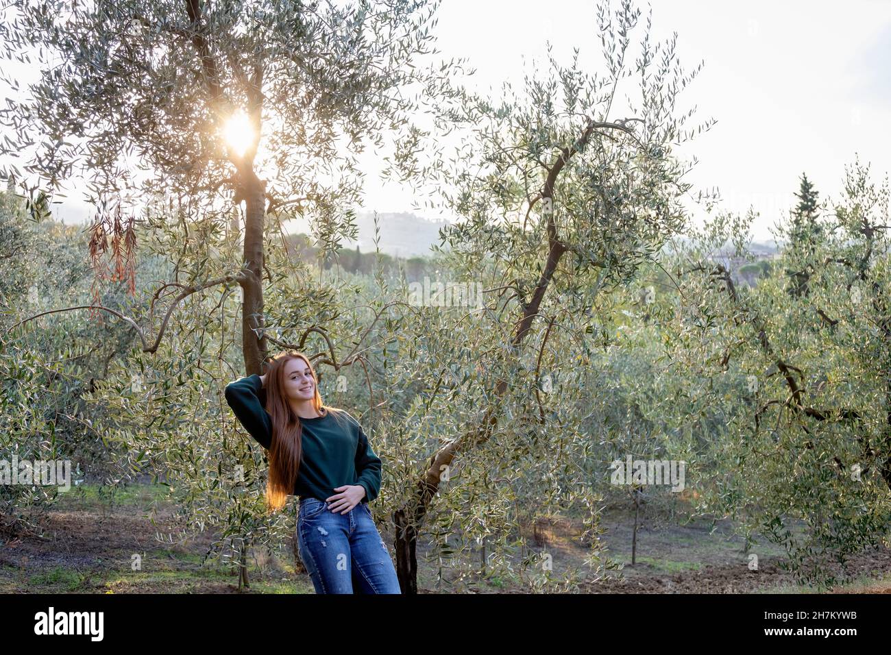 Olive at sunset hi-res stock photography and images - Alamy