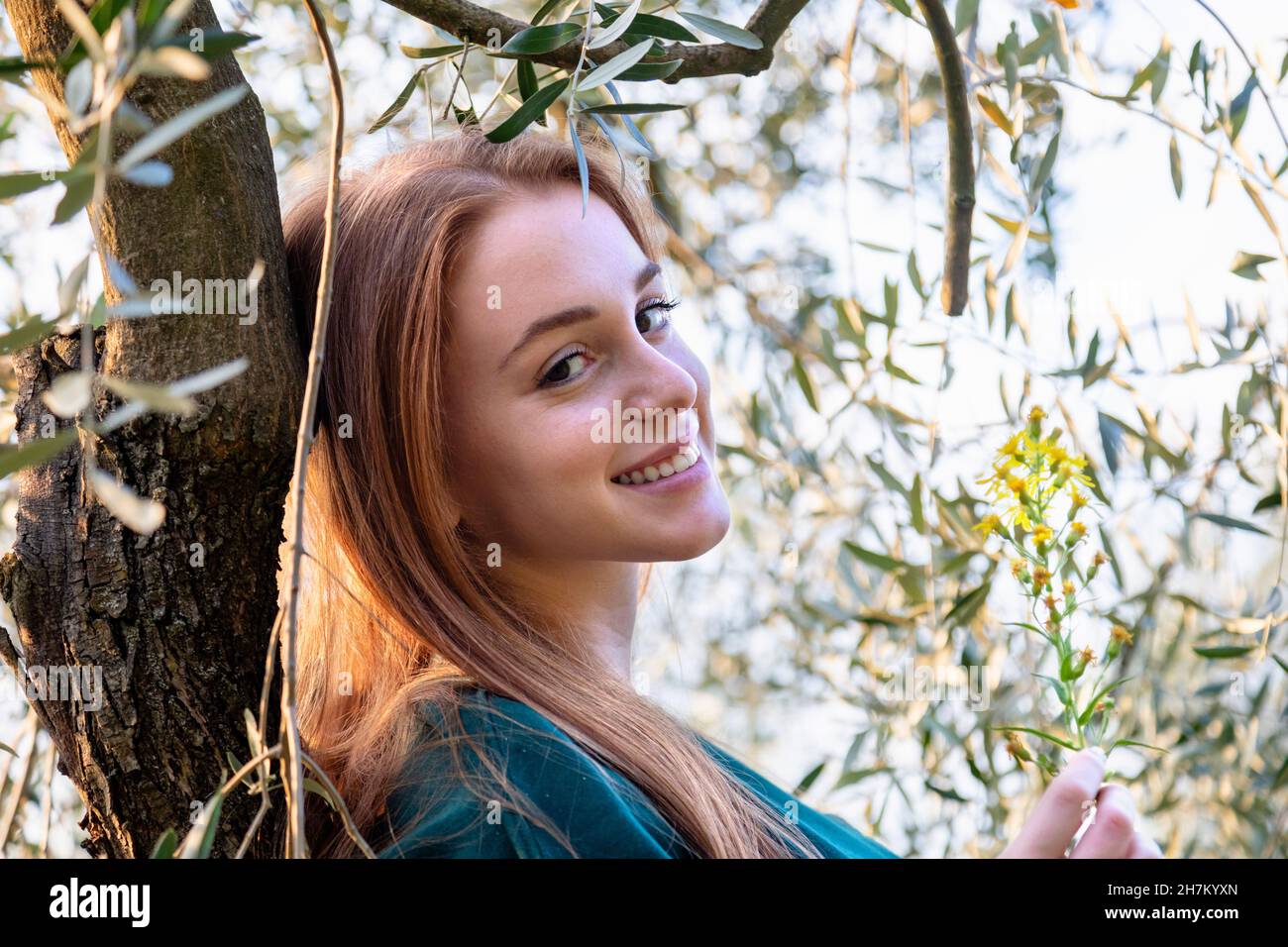 Beautiful olive tree hi-res stock photography and images - Alamy
