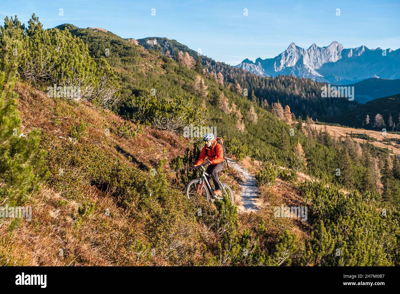 Man riding mountain bike on path Stock Photo - Alamy