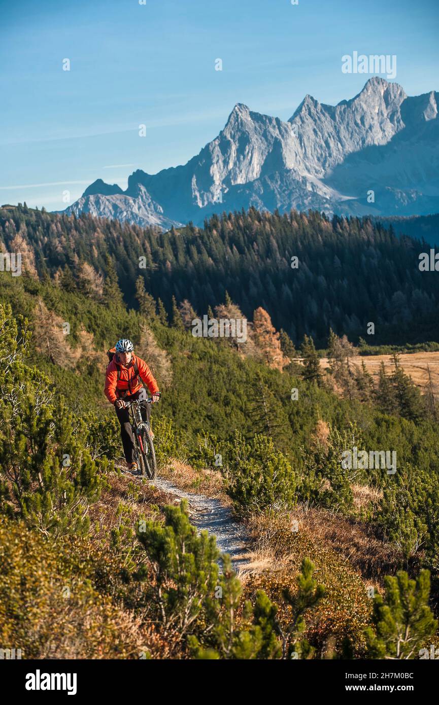 Bicycle path image hi-res stock photography and images - Alamy