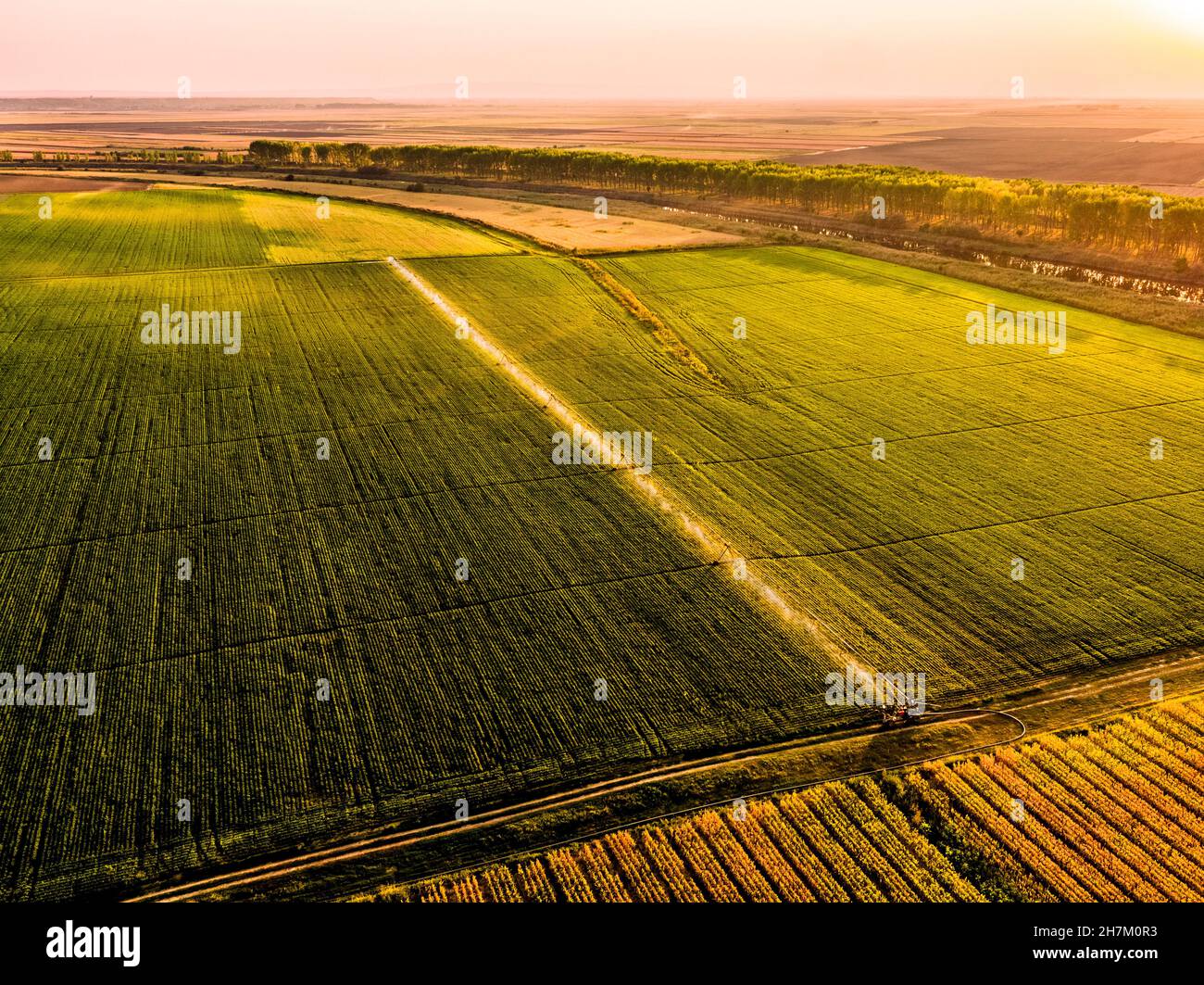 Aerial view of agricultural sprinklers irrigating vast soybean field at ...