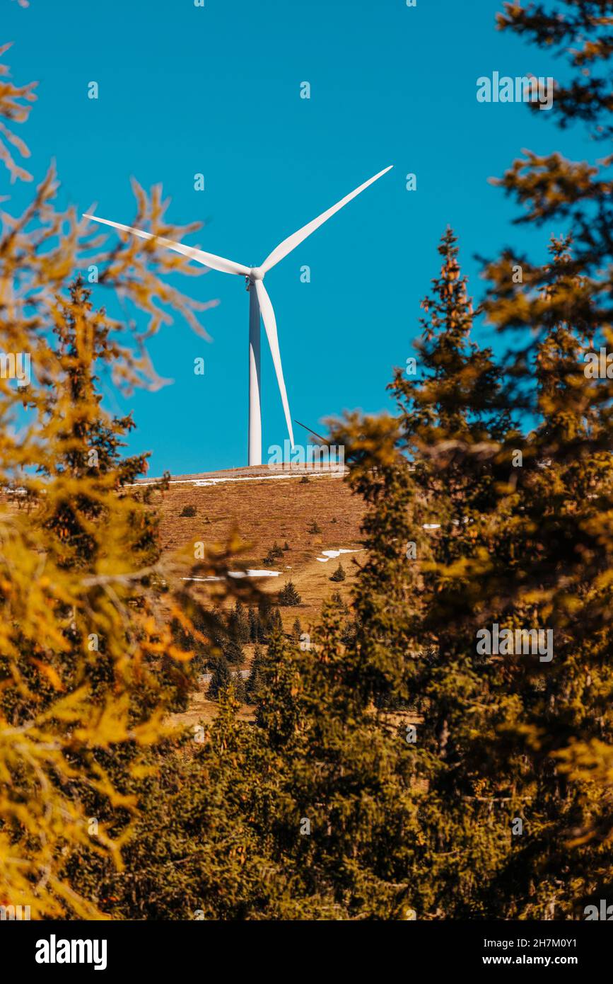 Wind turbine trees hi-res stock photography and images - Alamy