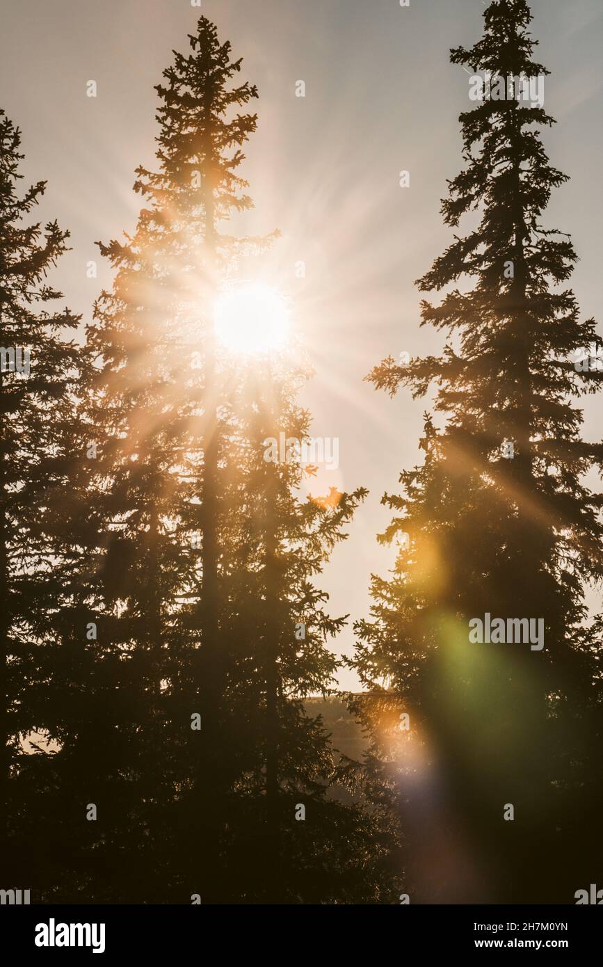 The shining setting hi-res stock photography and images - Alamy