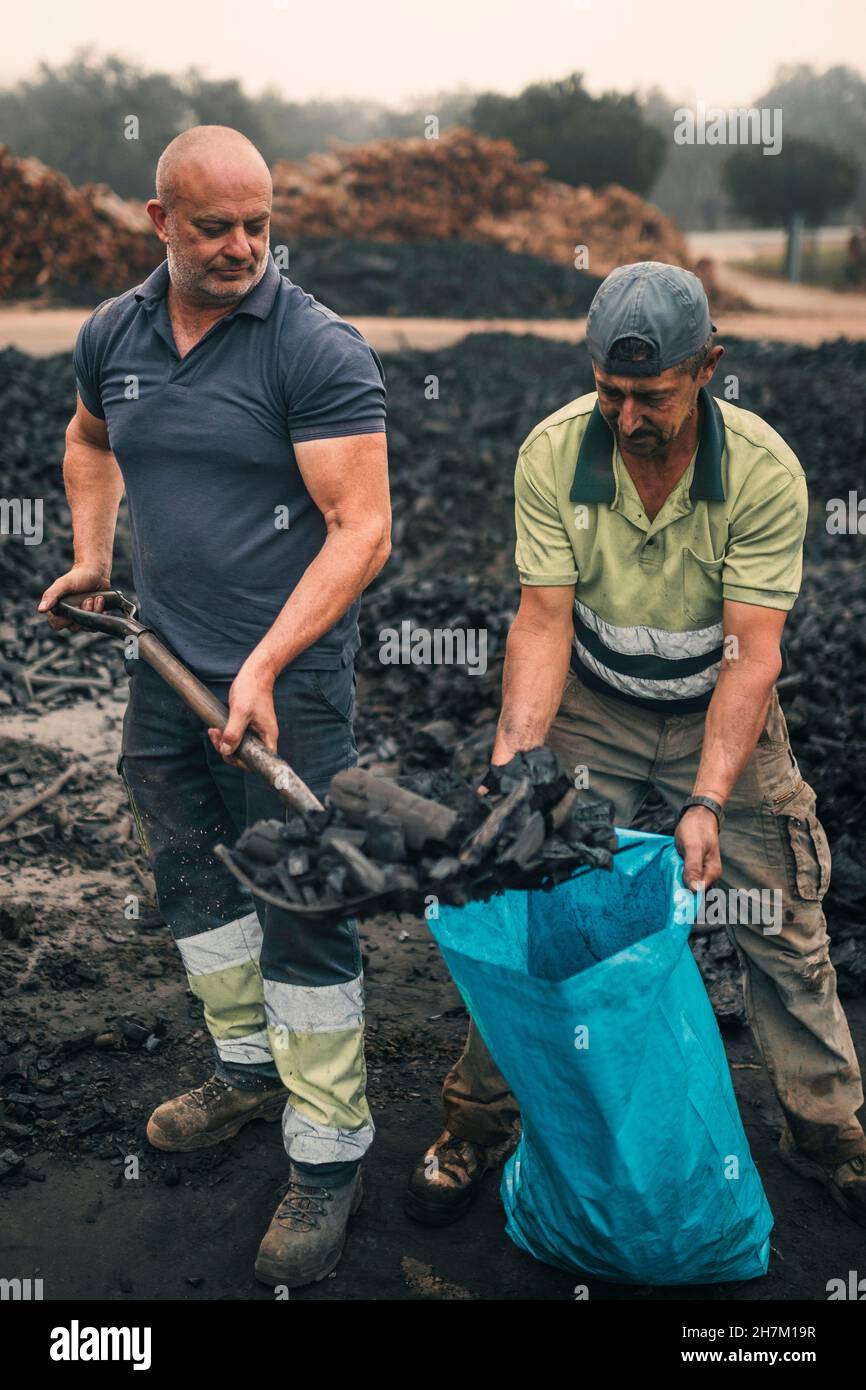 Workers collecting coal in plastic bag at factory Stock Photo - Alamy