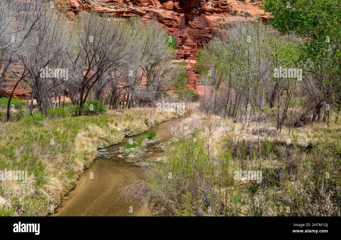 Garfield county hi-res stock photography and images - Alamy