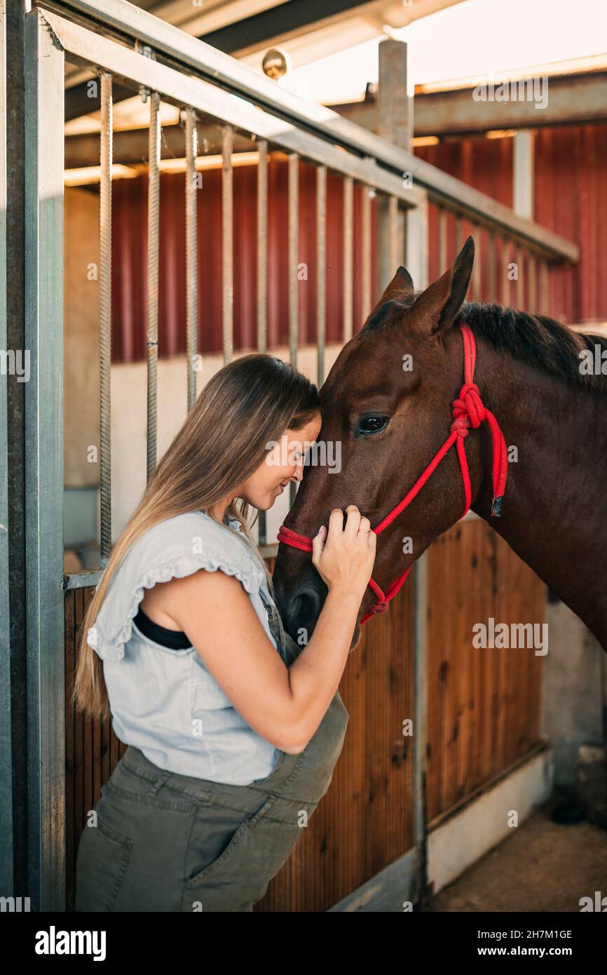 Horse trainer in stable hi-res stock photography and images - Alamy