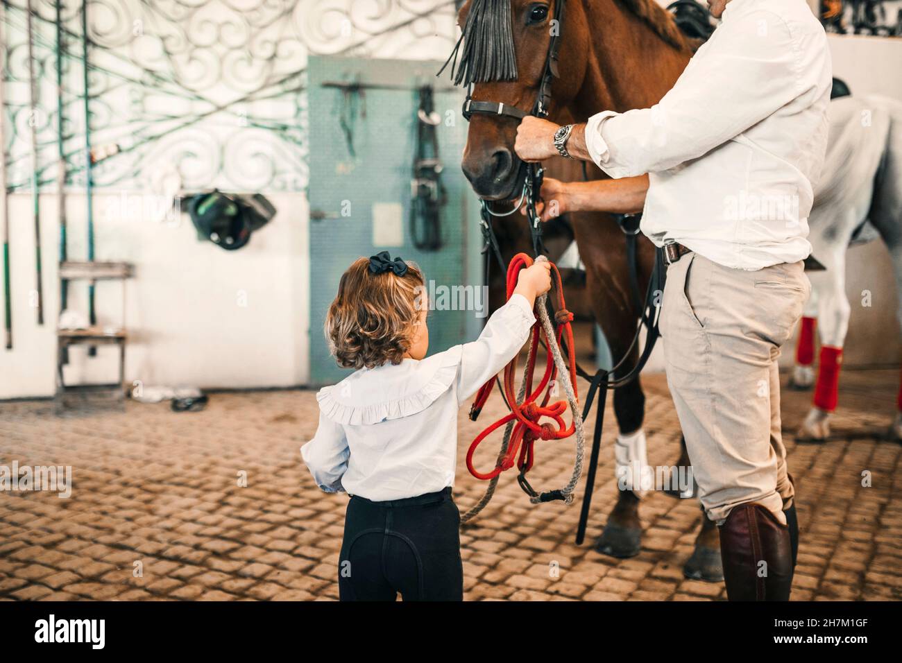 Horse trainer in stable hi-res stock photography and images - Alamy