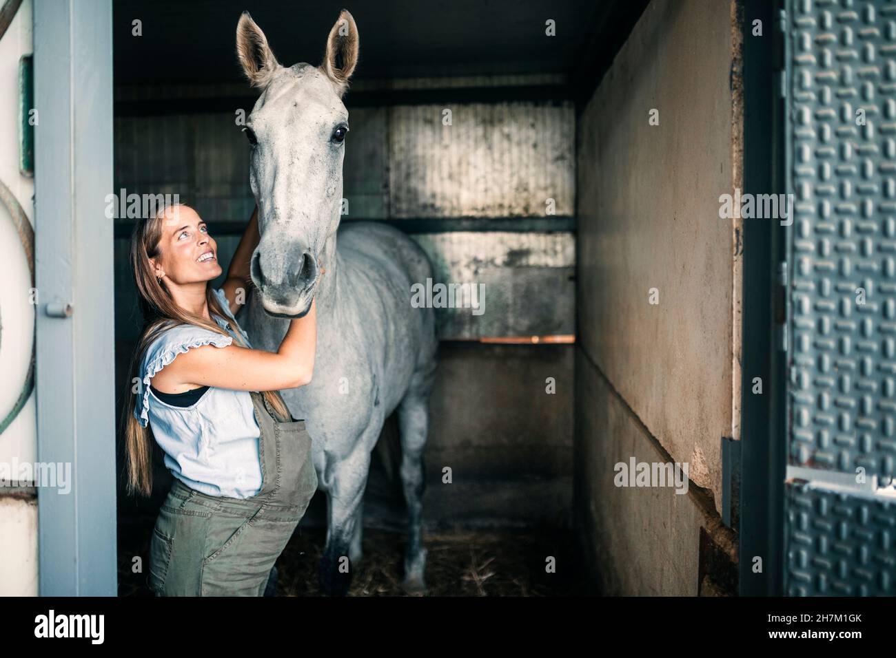 Adult horse stable hi-res stock photography and images - Alamy
