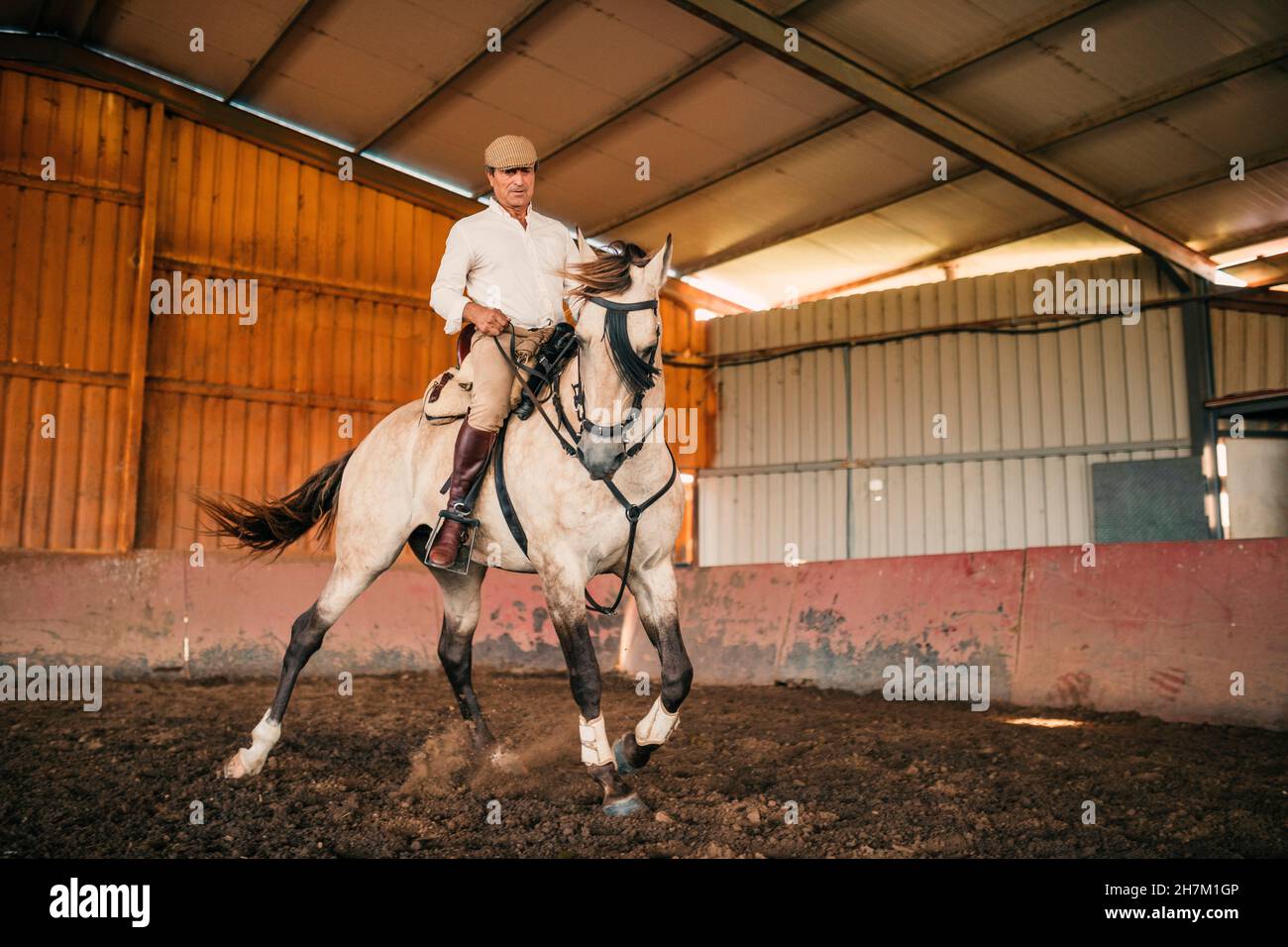 Horse trainer in stable hi-res stock photography and images - Alamy