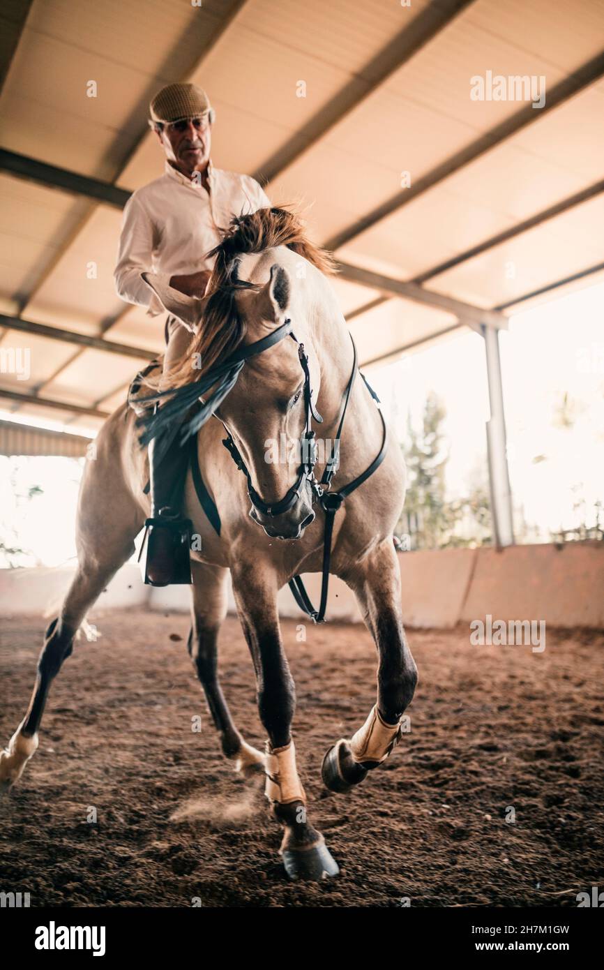 Stable learning hi-res stock photography and images - Alamy