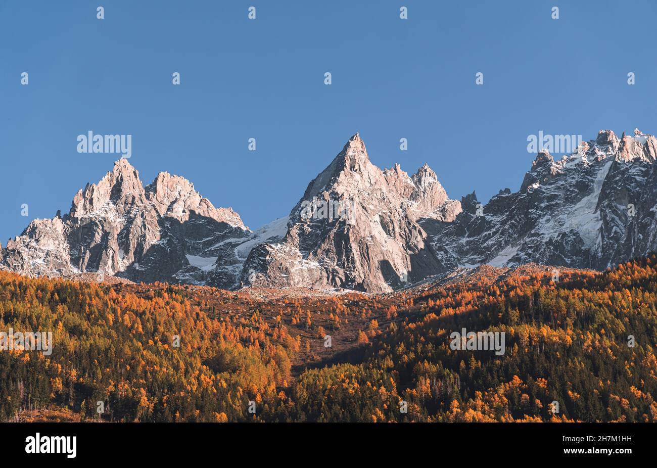 Best small camera hi-res stock photography and images - Alamy