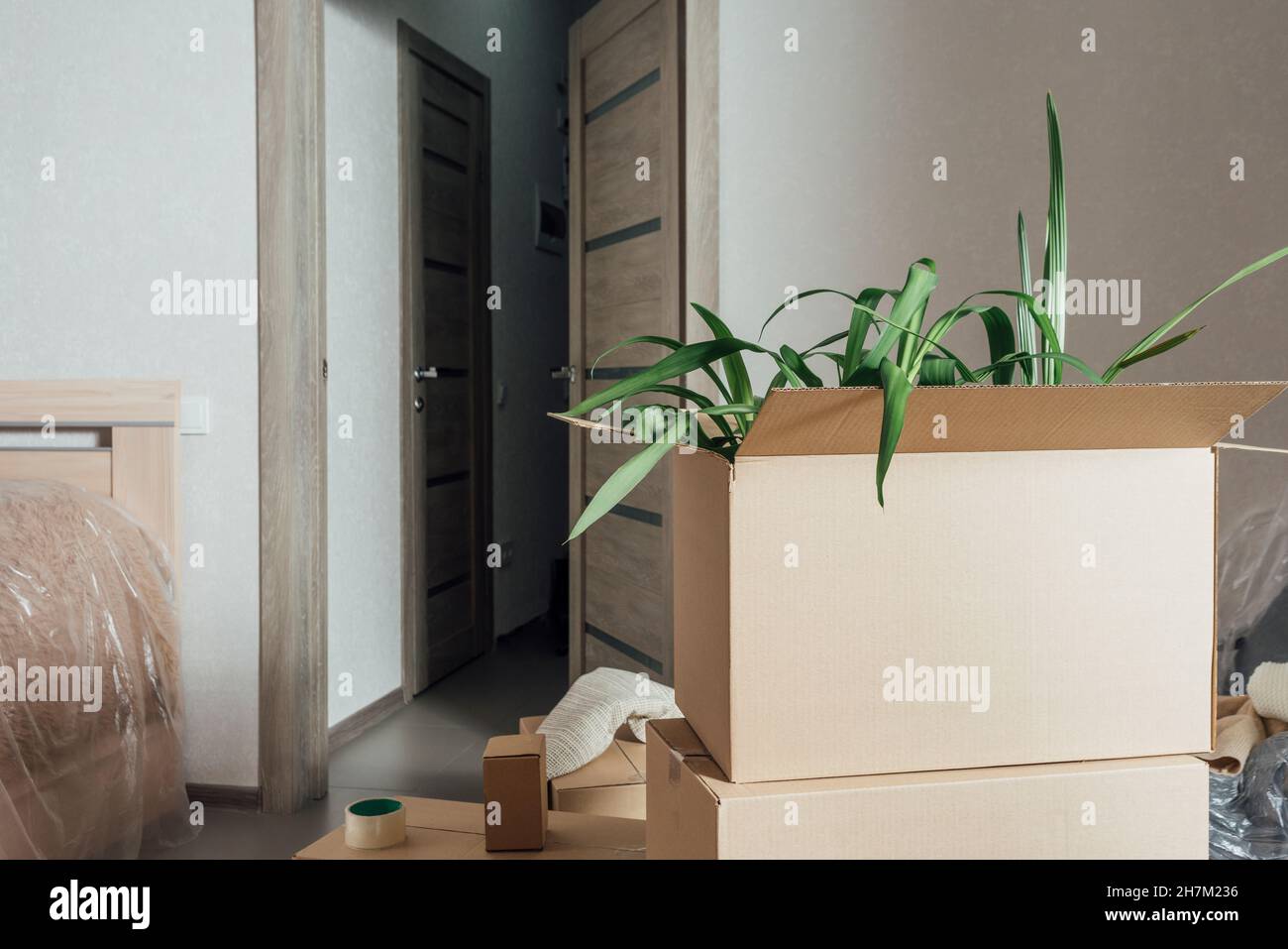 Cardboard boxes in new apartment Stock Photo - Alamy