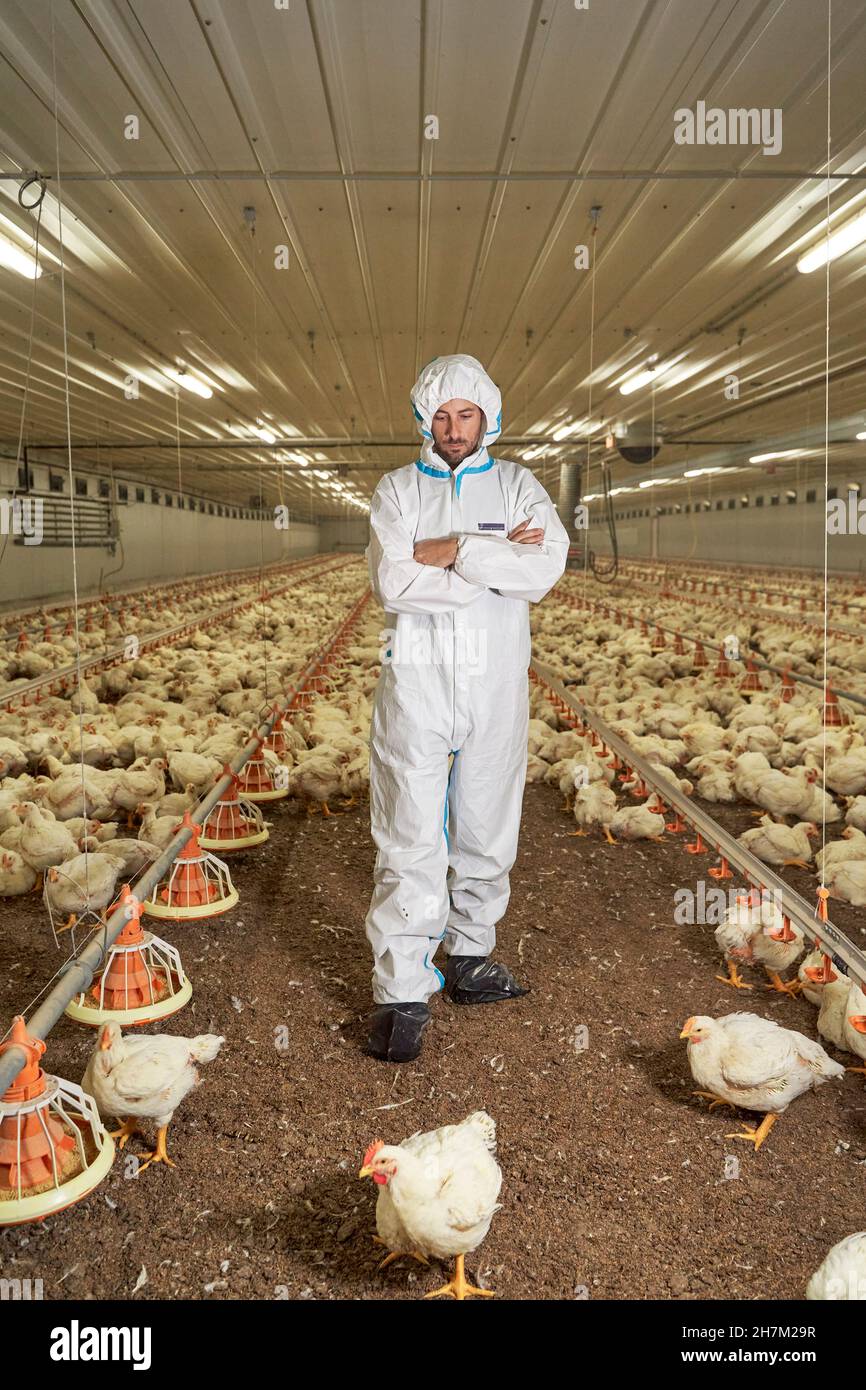 Man with hen hi-res stock photography and images - Alamy