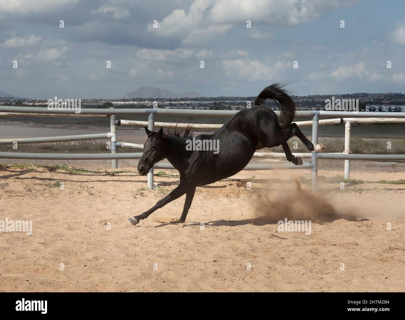 Modern library exterior hi-res stock photography and images - Alamy