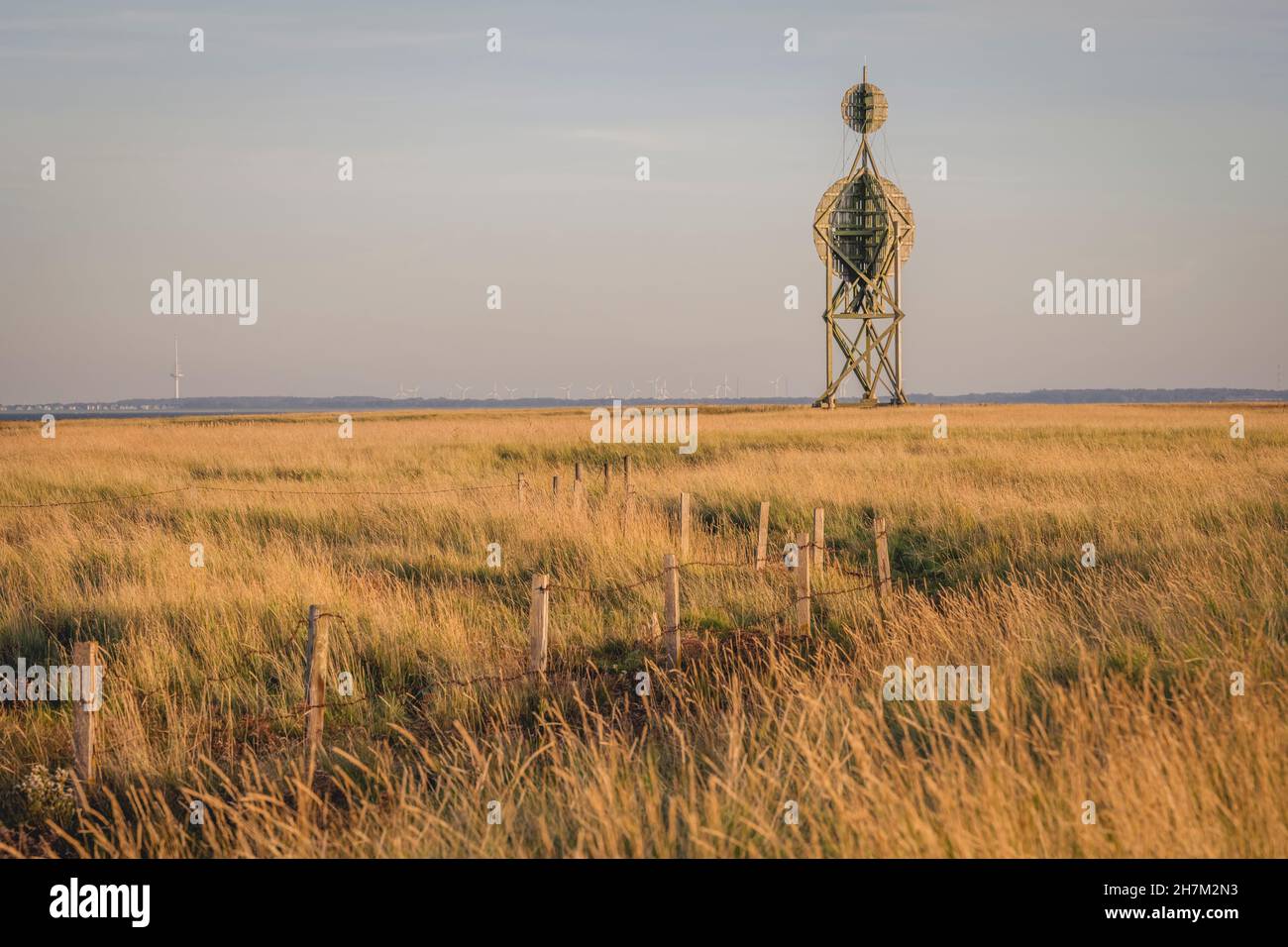 Germany, Hamburg, Grassy landscape of Hamburg Wadden Sea National Park ...