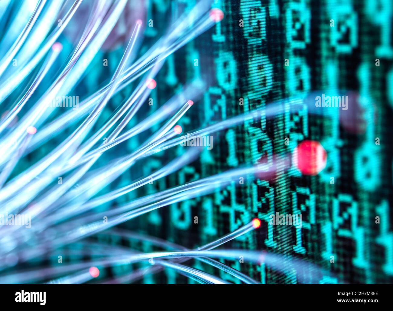 Fiber optics carrying computer virus attacking binary code Stock Photo ...