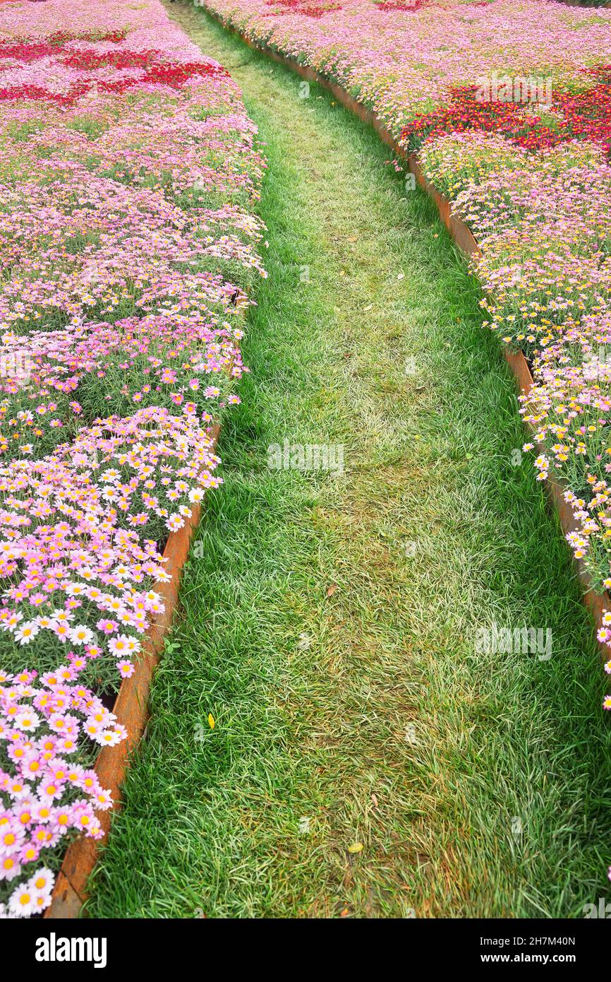Path cutting through blooming hi-res stock photography and images - Alamy