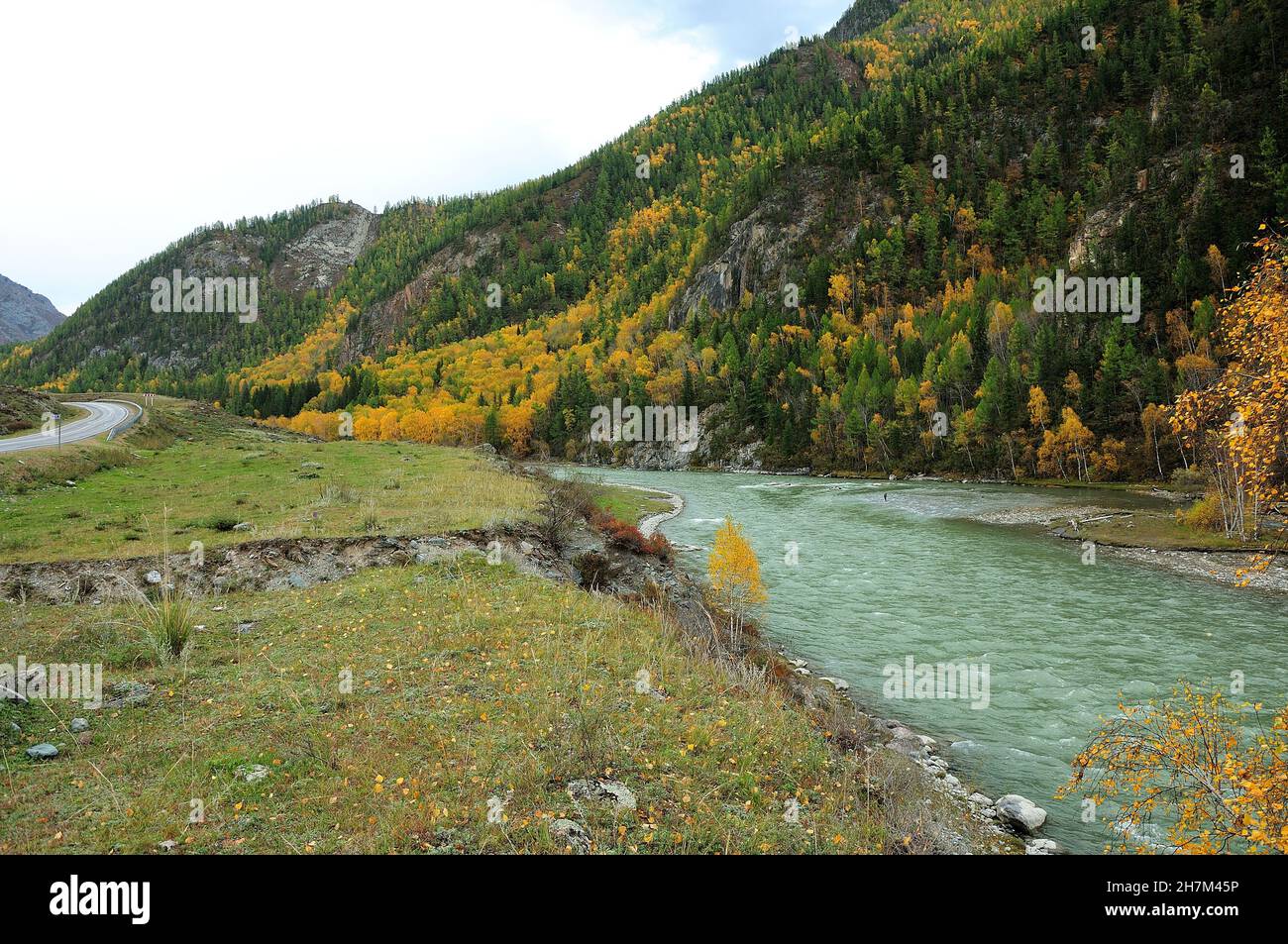Part of an asphalt road by a flowing mountain river at the foot of a ...