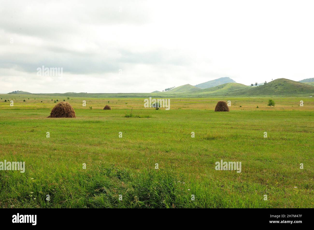 A large field of cut grass at the foot of the hills and haystacks ...