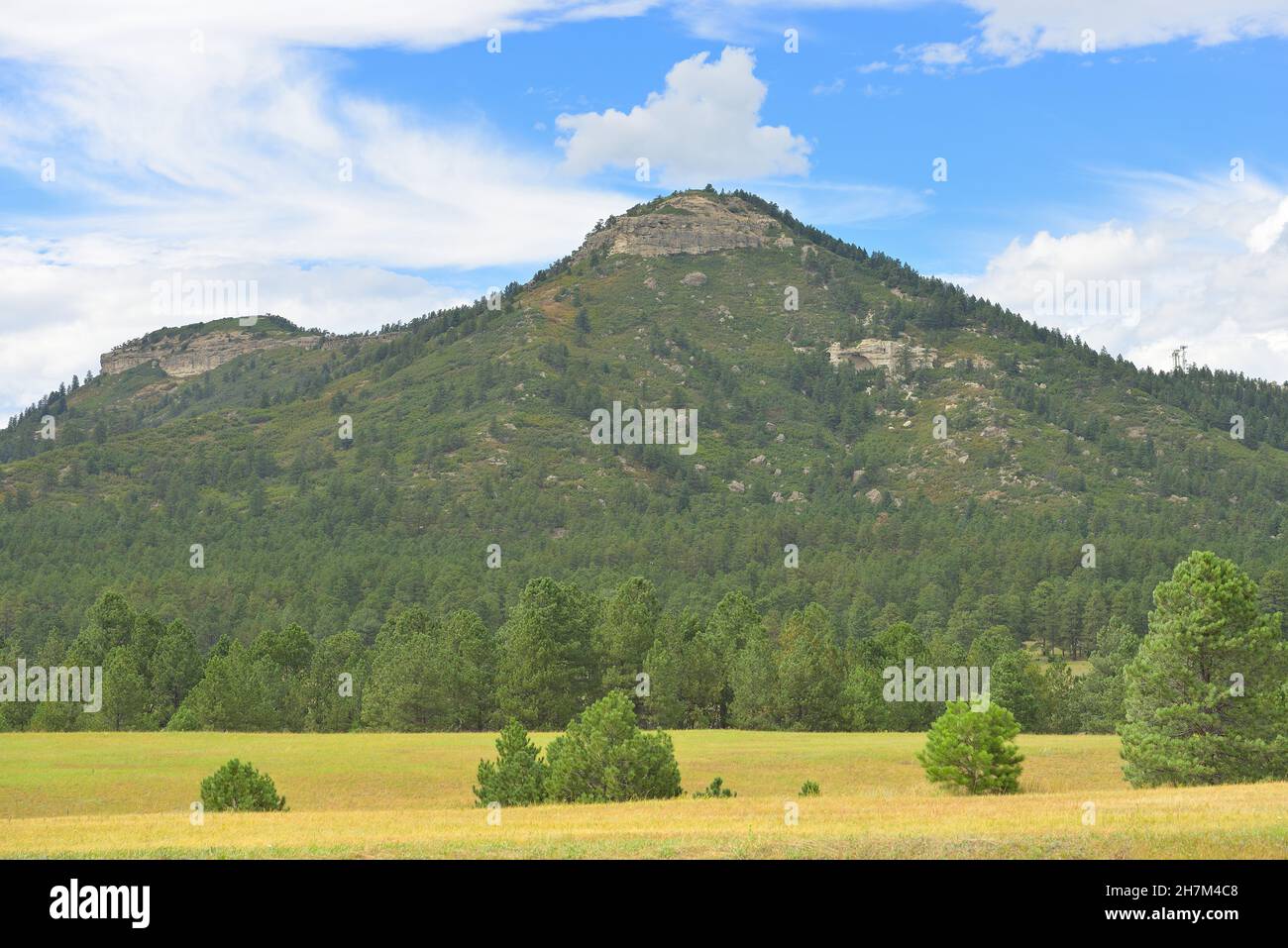 The Spruce Meadows Open Space, Larkspur CO Stock Photo - Alamy