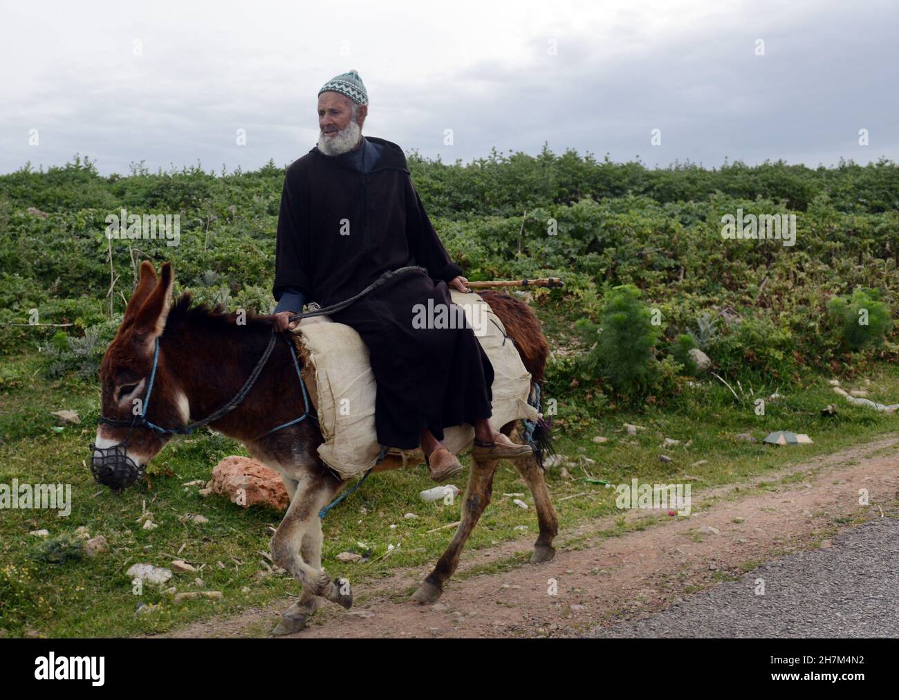 A Moroccan man riding his donkey in rural northern Morocco Stock Photo ...