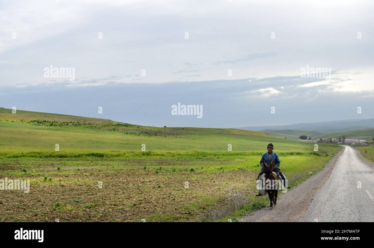 A Moroccan man riding his donkey cart in rural areas Stock Photo - Alamy