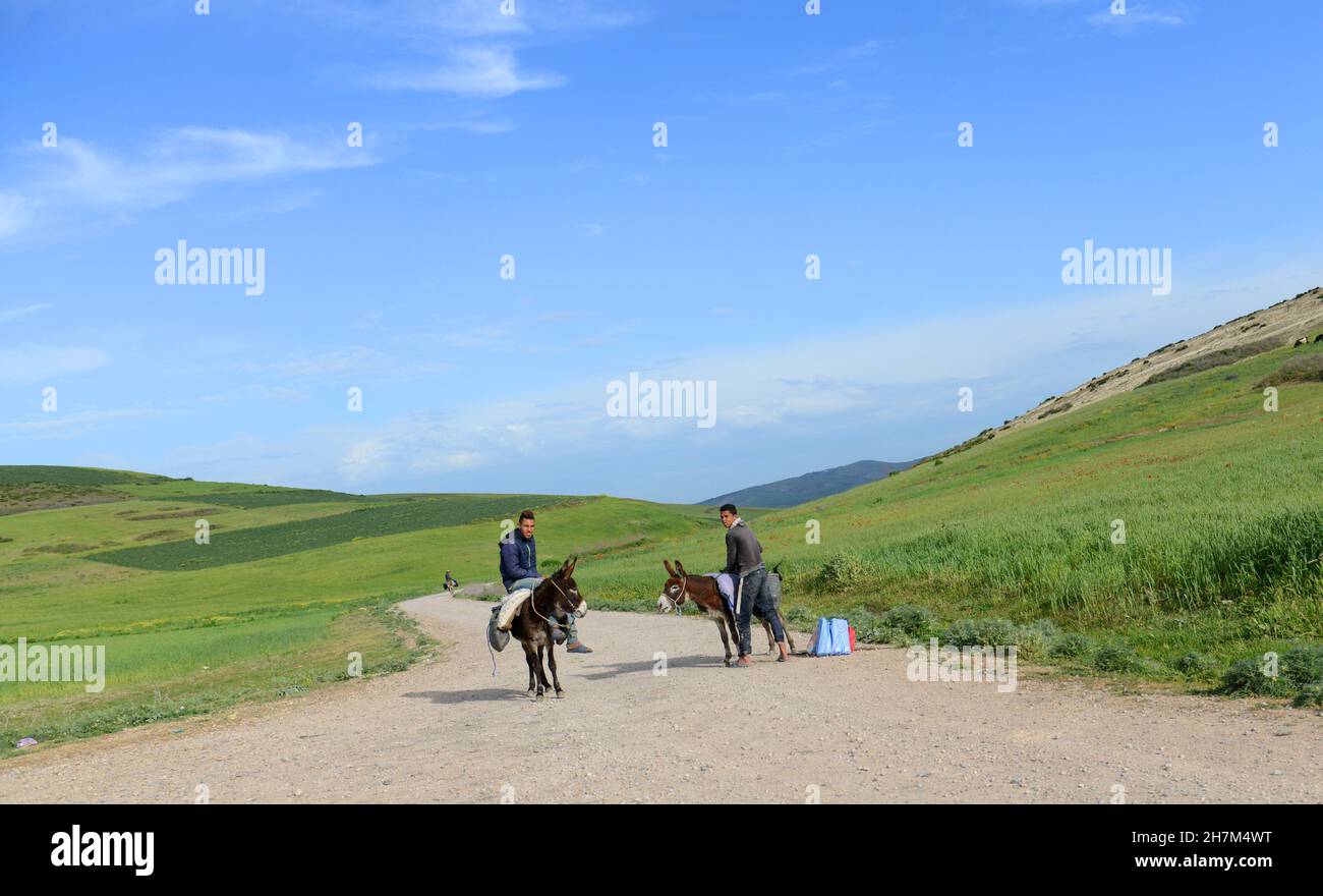 Young man riding a horse hi-res stock photography and images - Alamy