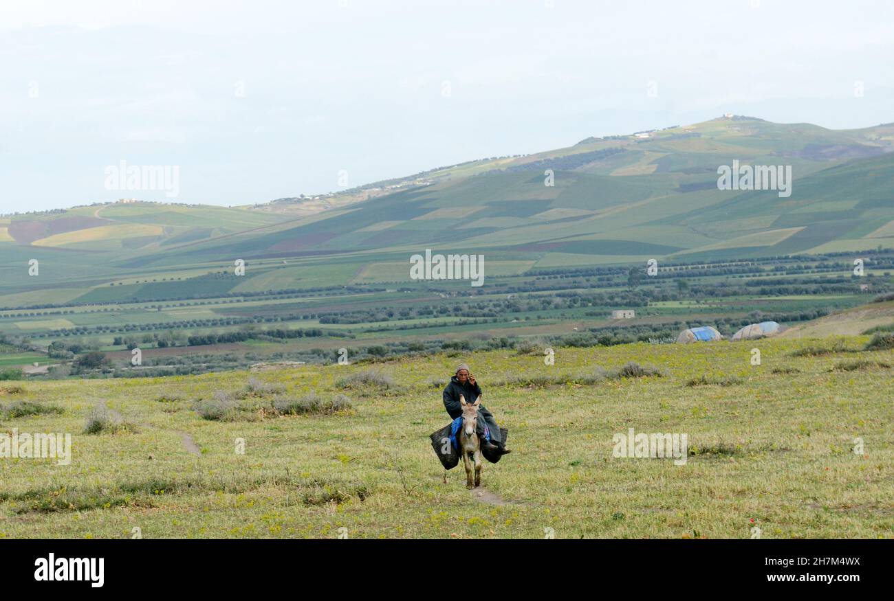 A Moroccan man riding his donkey in rural northern Morocco Stock Photo ...