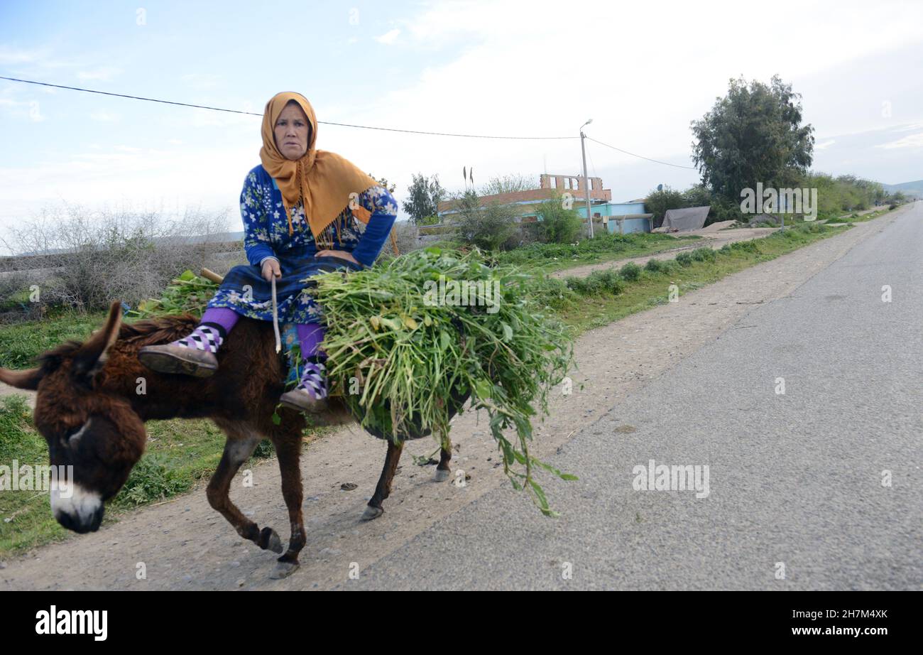 Woman riding donkey hi-res stock photography and images - Alamy