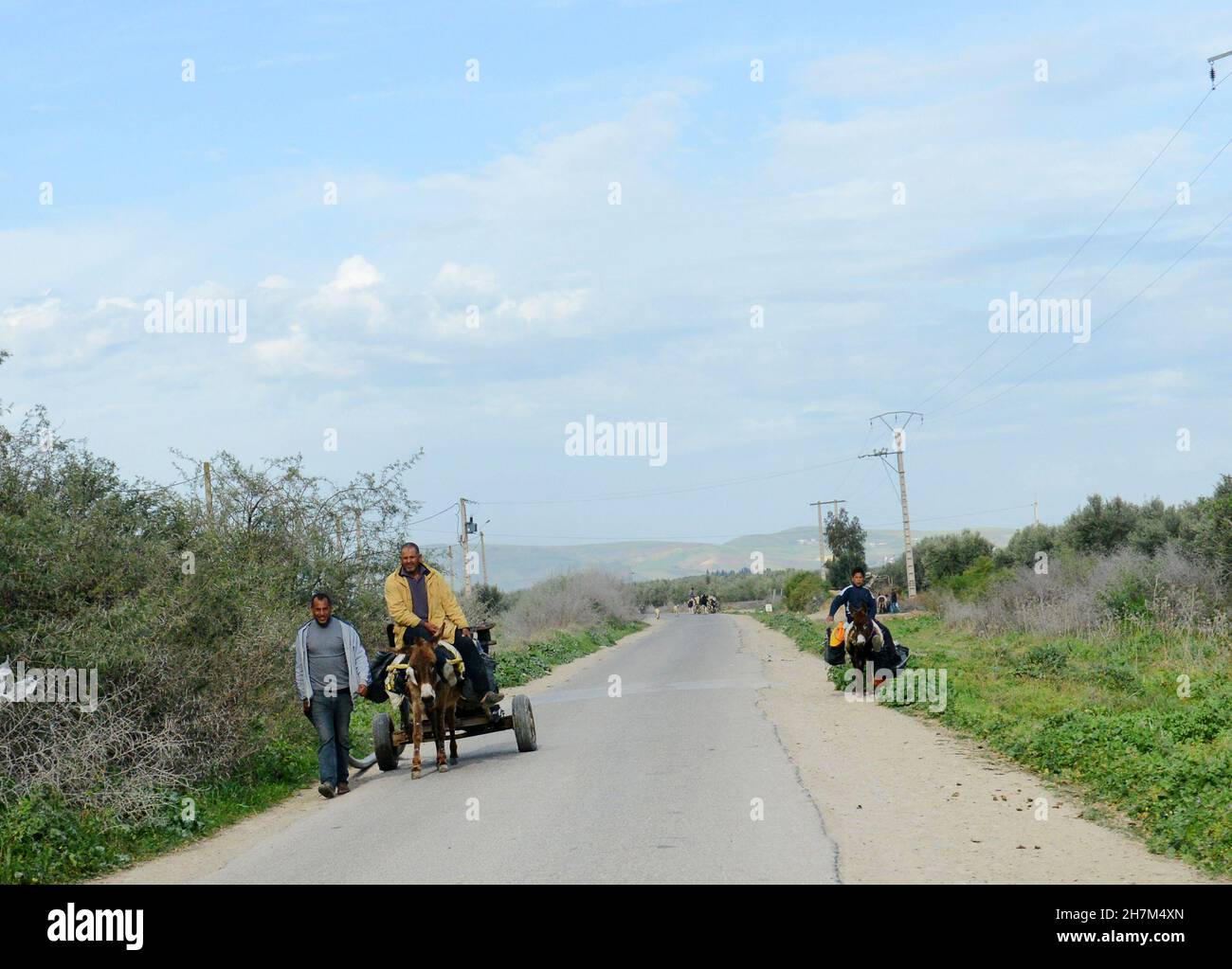 A Moroccan man riding his donkey cart in rural areas Stock Photo - Alamy