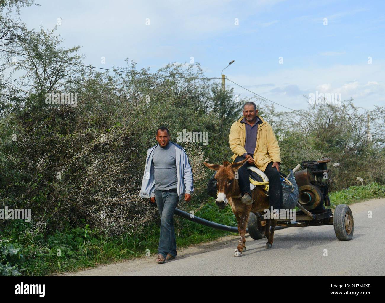 A Moroccan man riding his donkey cart in rural areas Stock Photo - Alamy