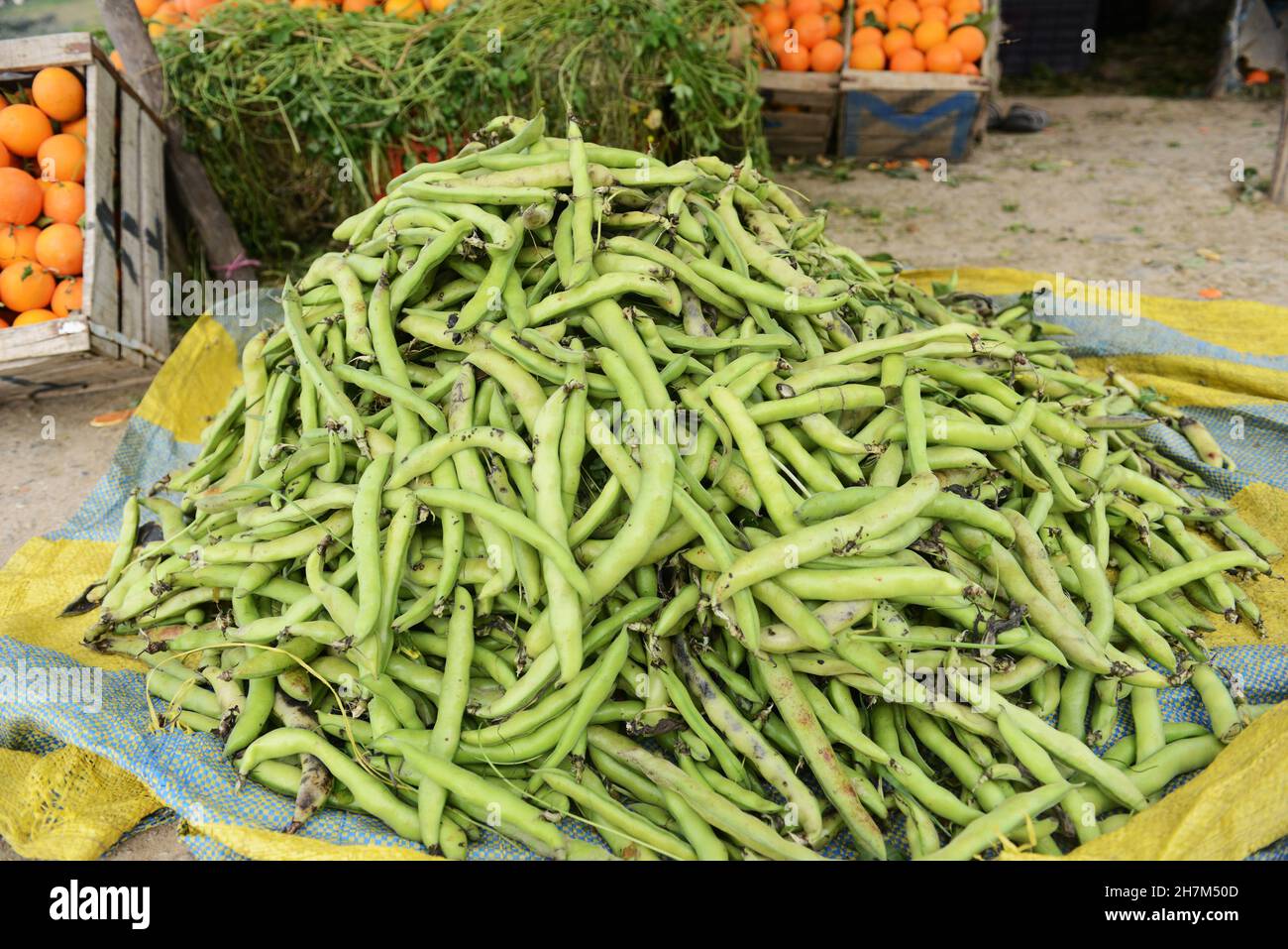 Sold at a farm hi-res stock photography and images - Alamy