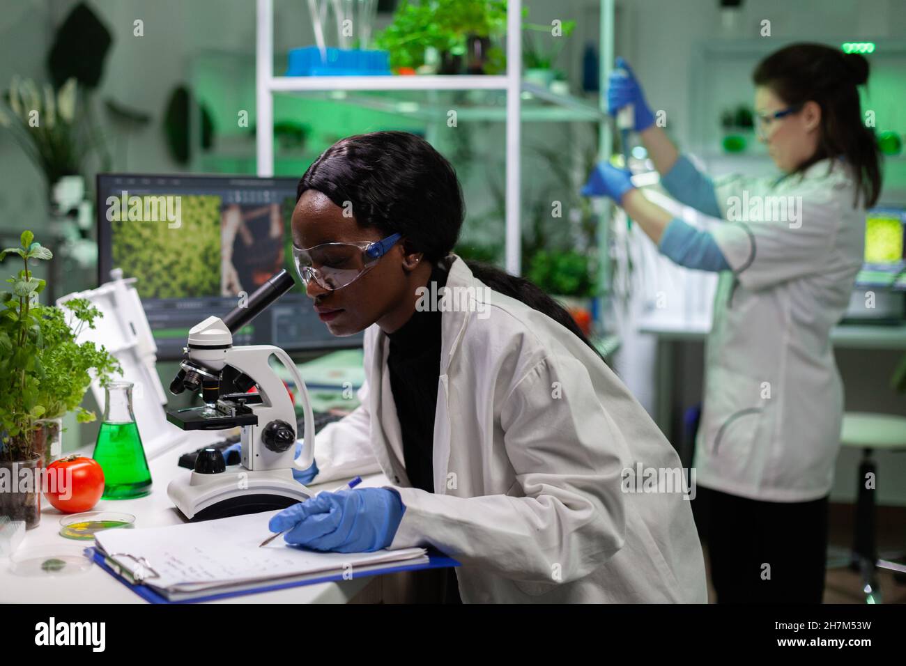 African american biologist scientist analyzing genetic mutation on leaf ...
