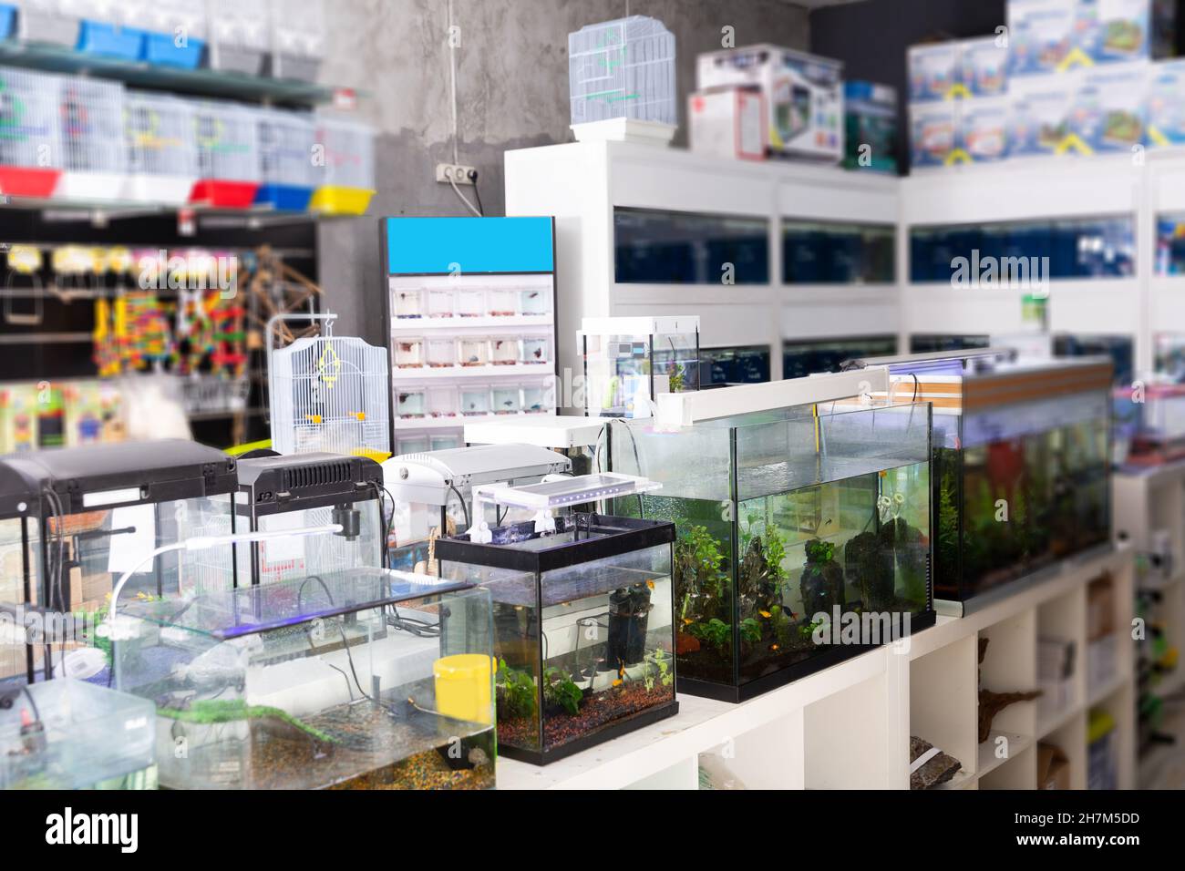Interior of pet store with various of bird cages, shelves with pet ...