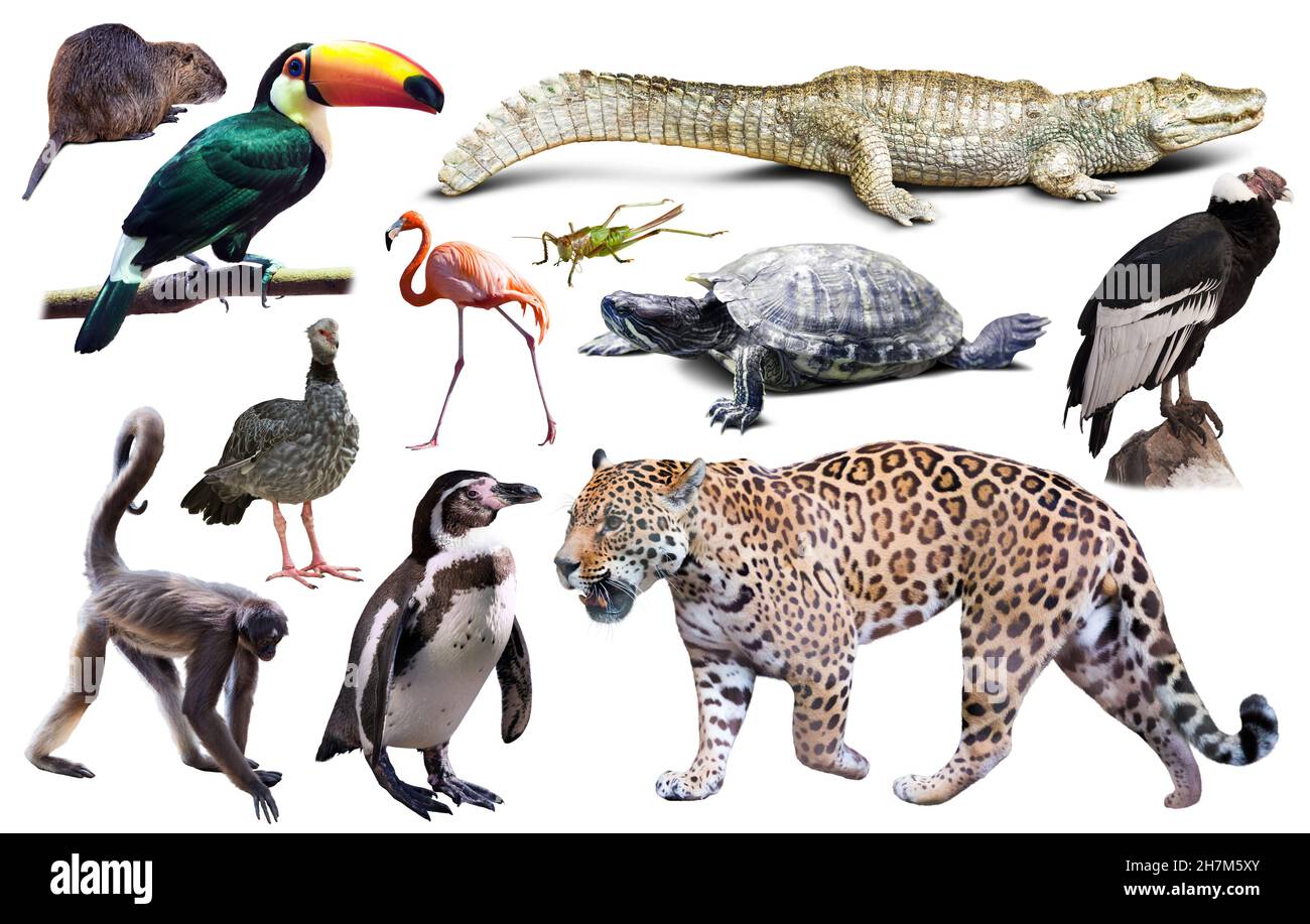 Marã Cut Out Stock Images & Pictures - Alamy