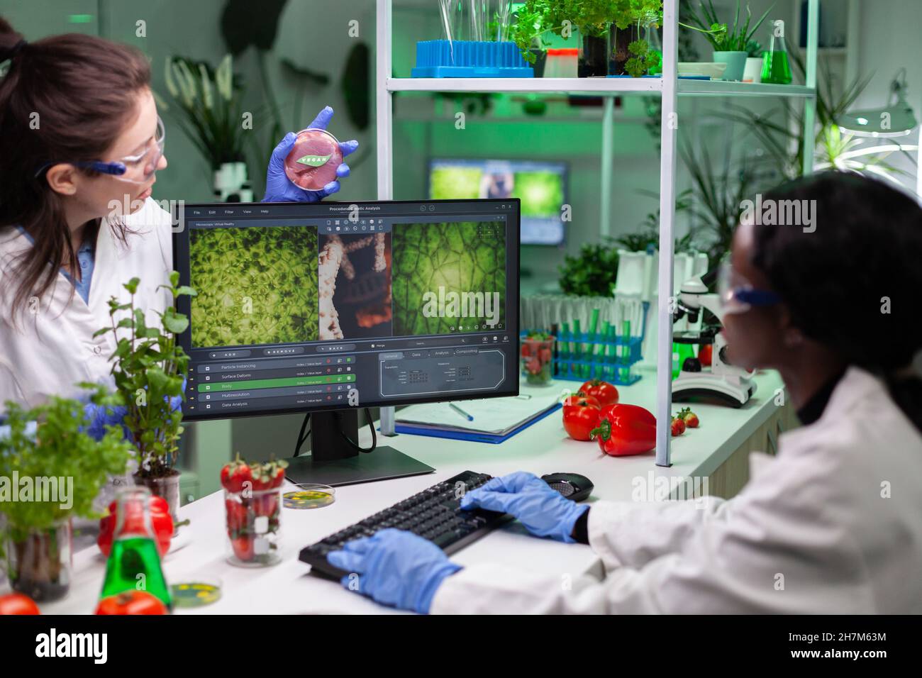 Multi-ethnic team of doctors analyzing bio beef sample working at ...